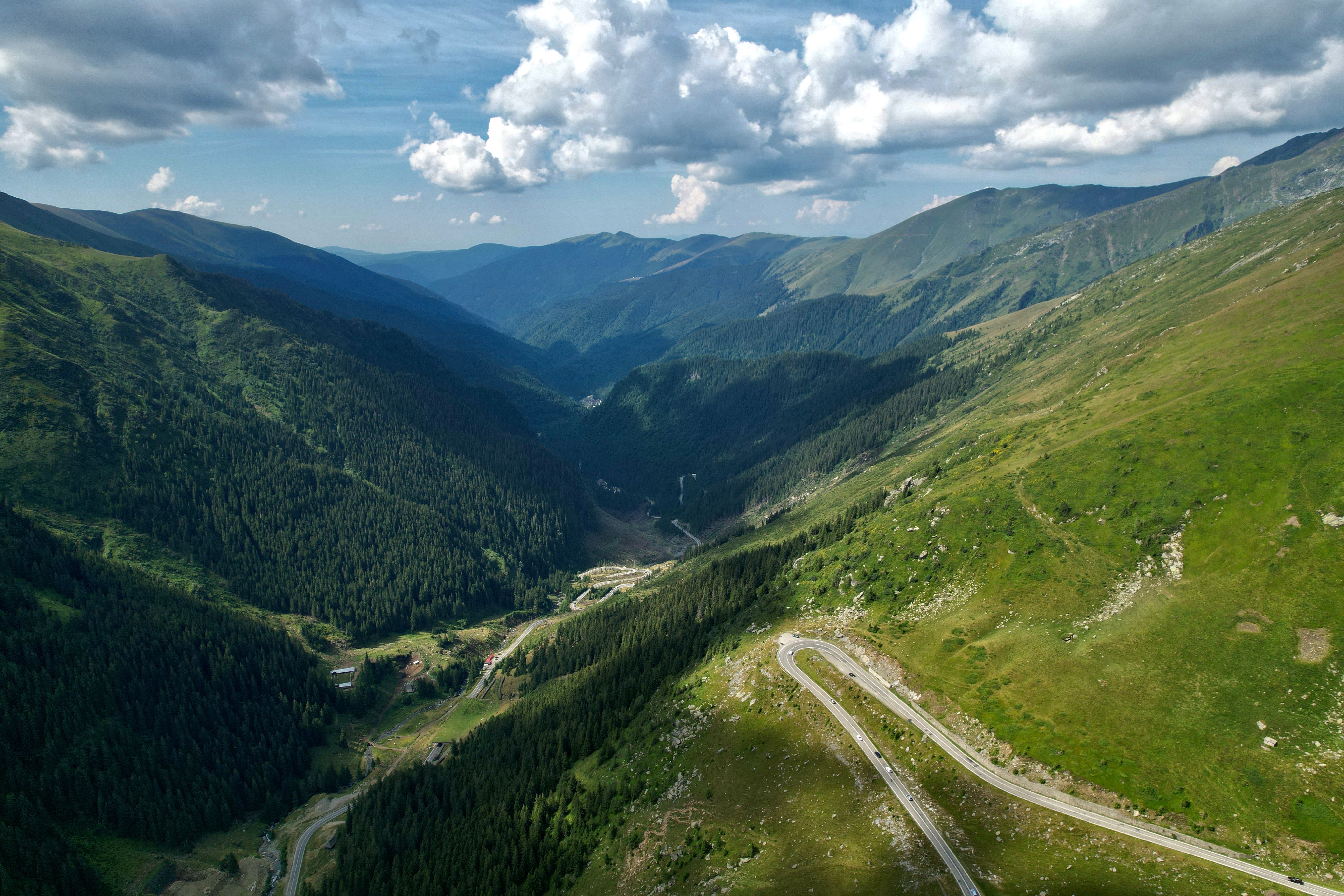 Forest in Valley in Mountains · Free Stock Photo