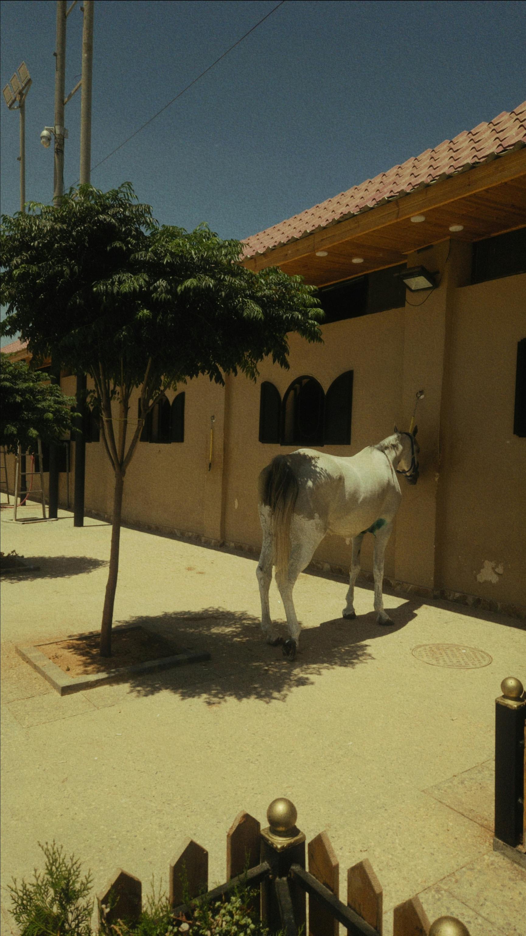 Hazily Light – Fotografie