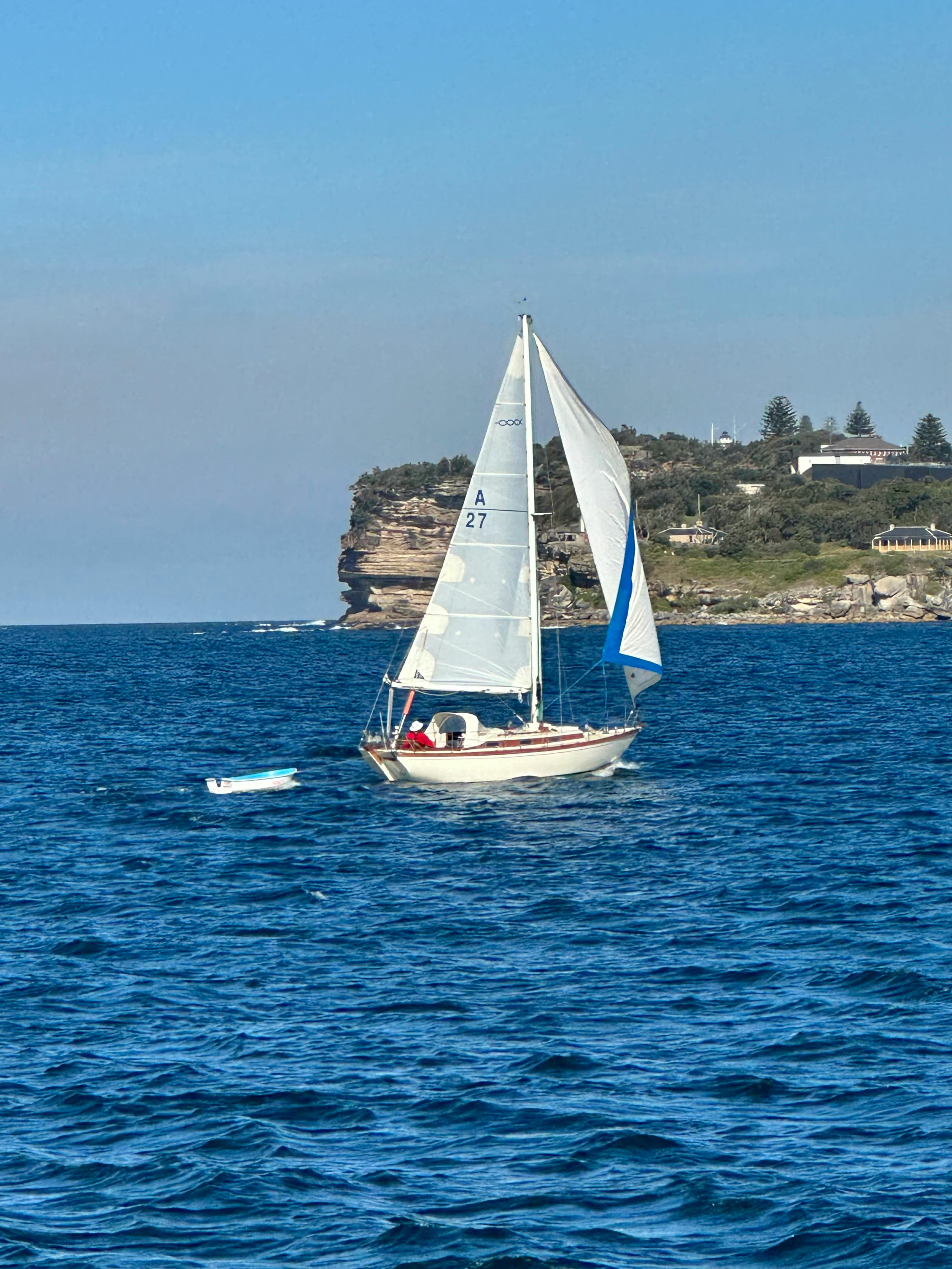 Dee Willi — Фотография