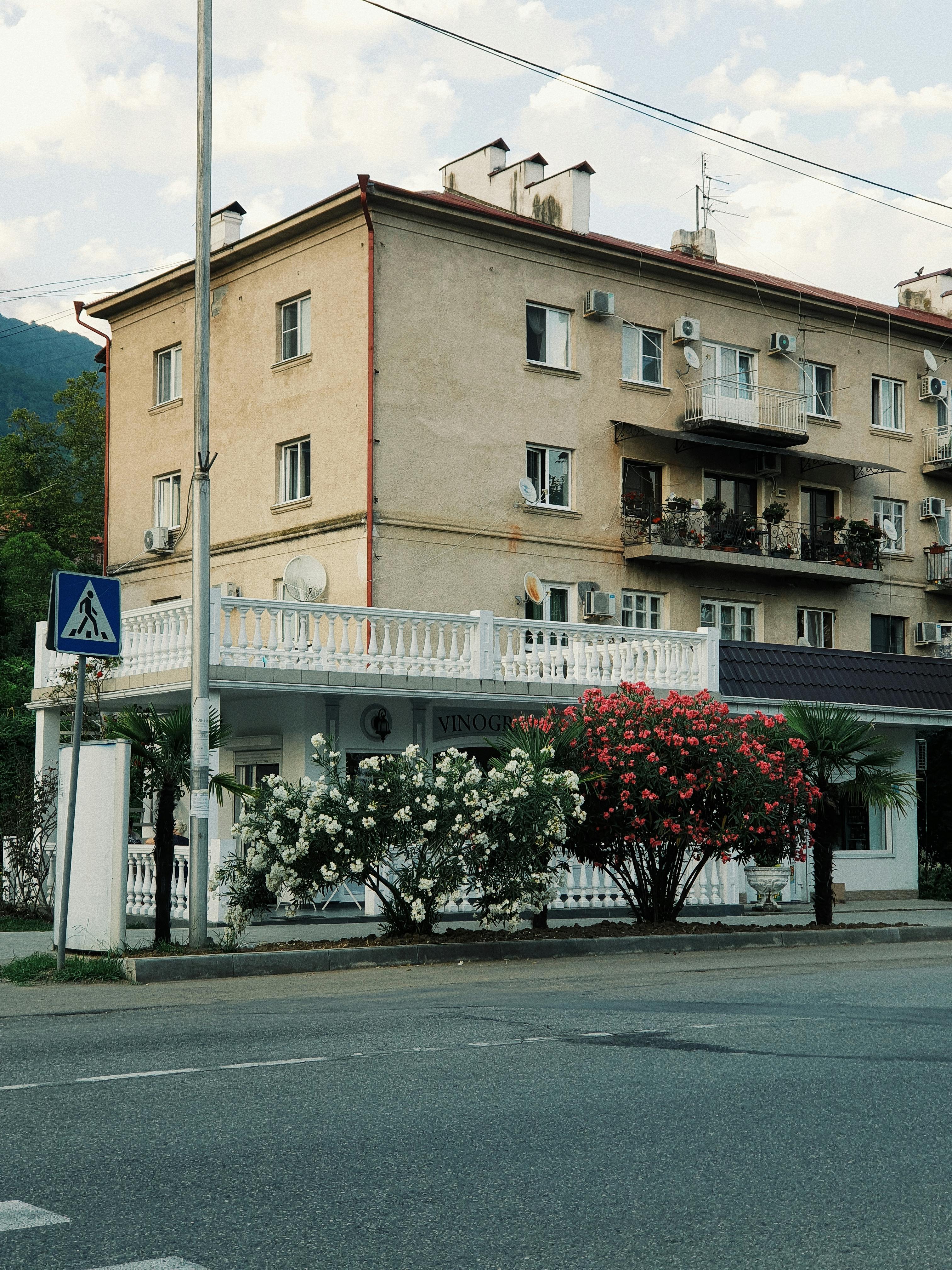 Trees near Street in Town · Free Stock Photo
