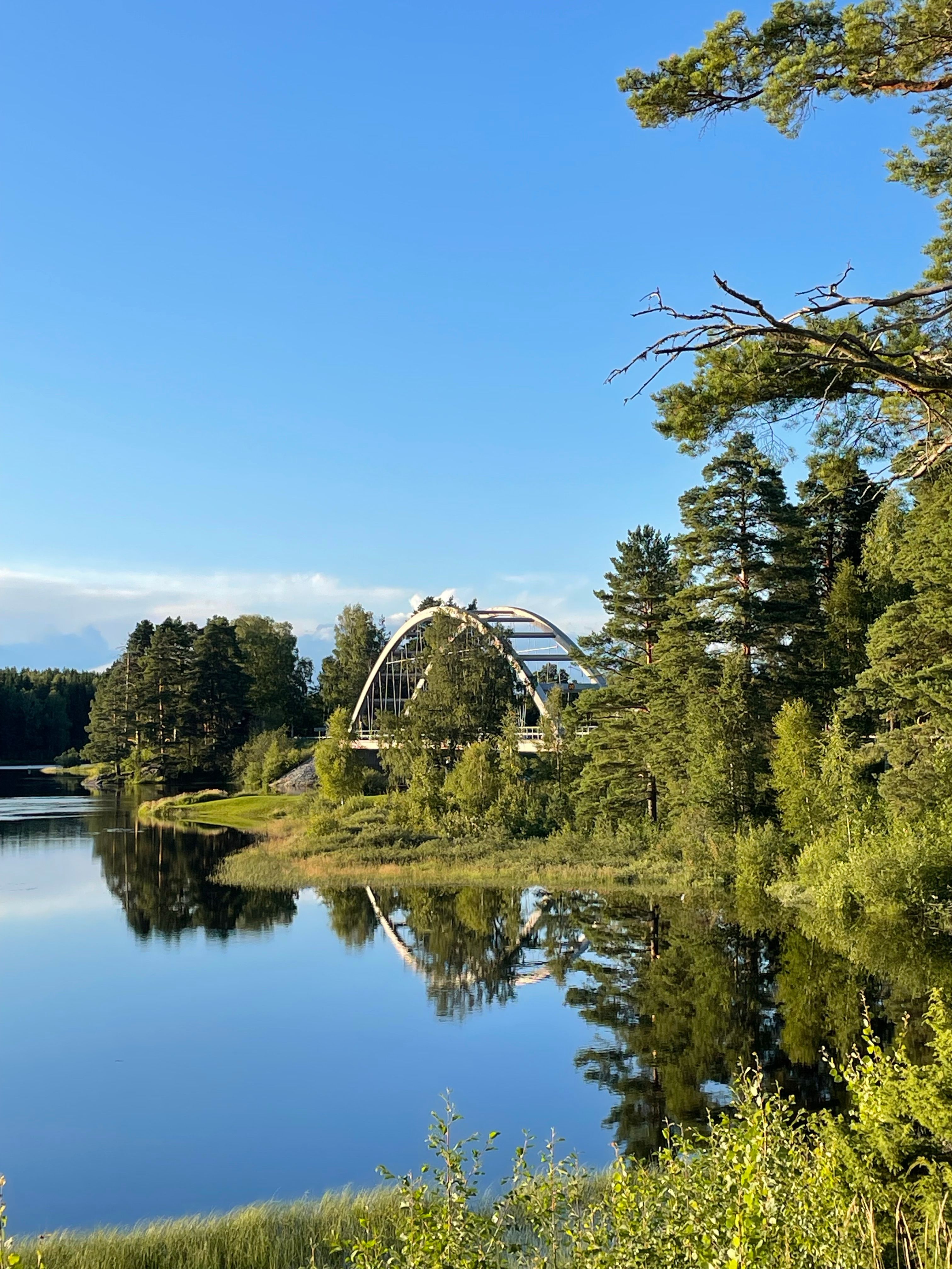 Midsummer Photos, Download The BEST Free Midsummer Stock Photos & HD Images