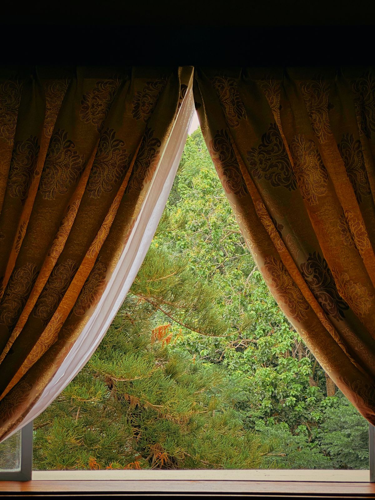 Open Window Curtain Photos, Download The BEST Free Open Window Curtain ...