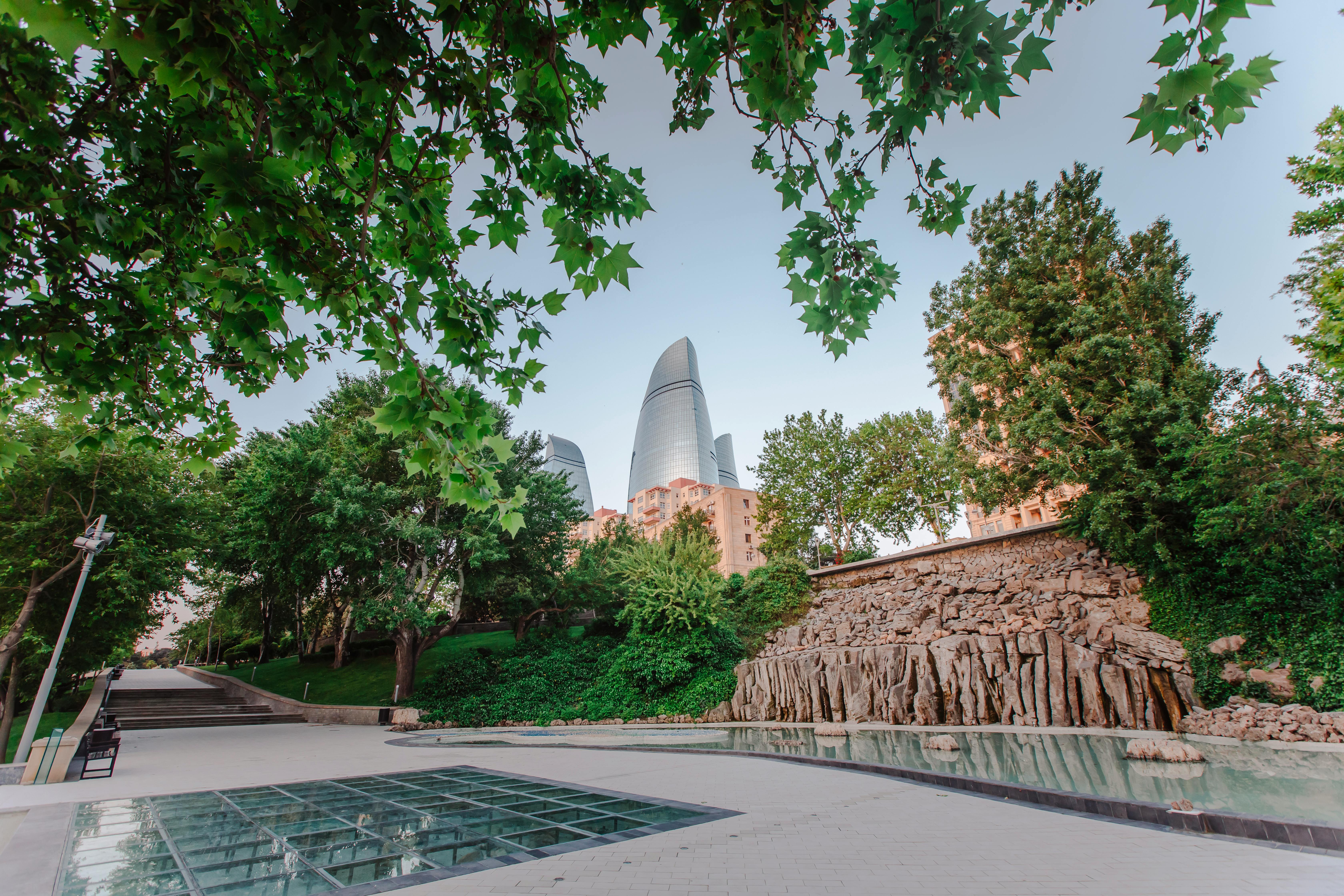 Boulevard Trees Photos, Download The BEST Free Boulevard Trees Stock ...