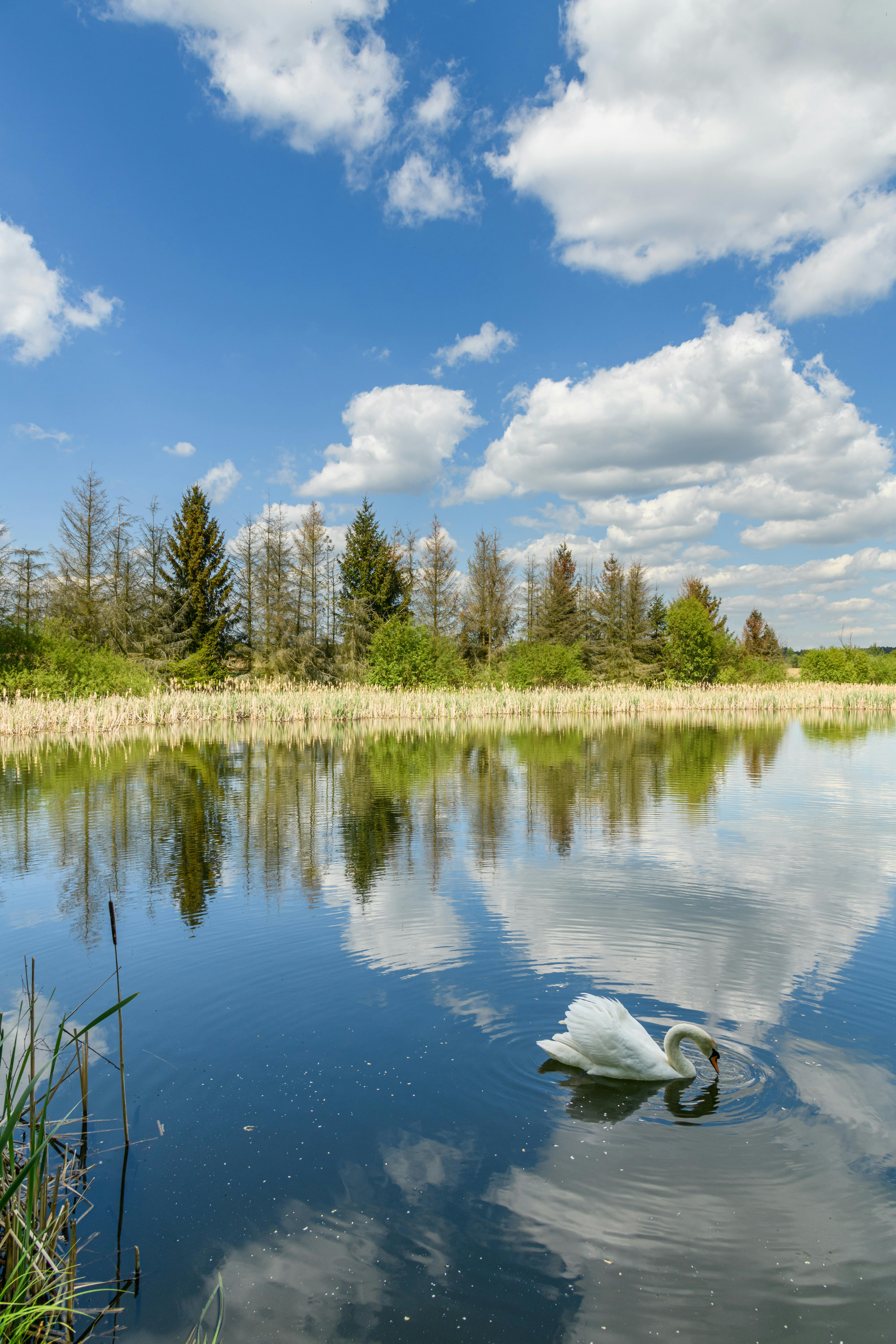 Big Vision Nature Photos, Download The BEST Free Big Vision Nature ...