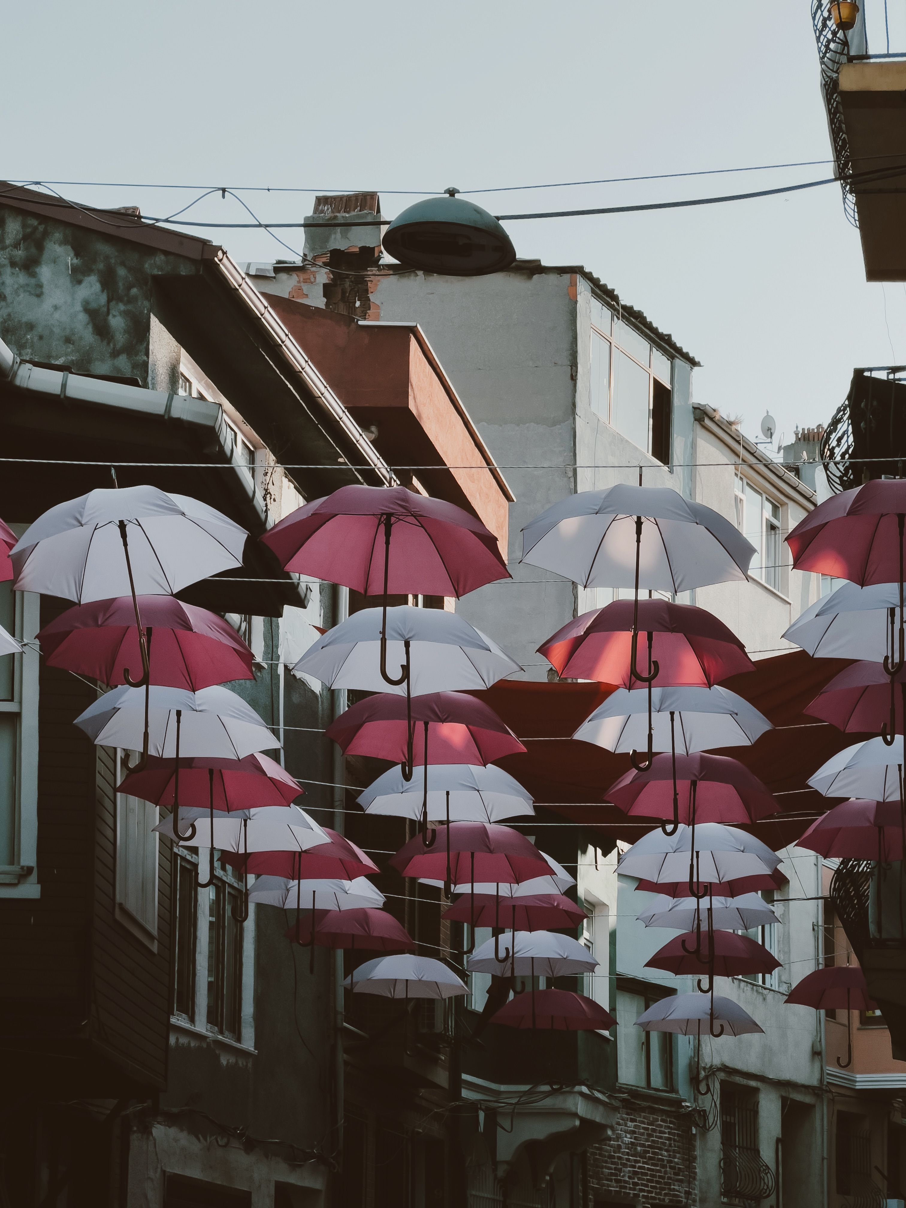White and Red Umbrellas Hanging Above the Street · Free Stock Photo