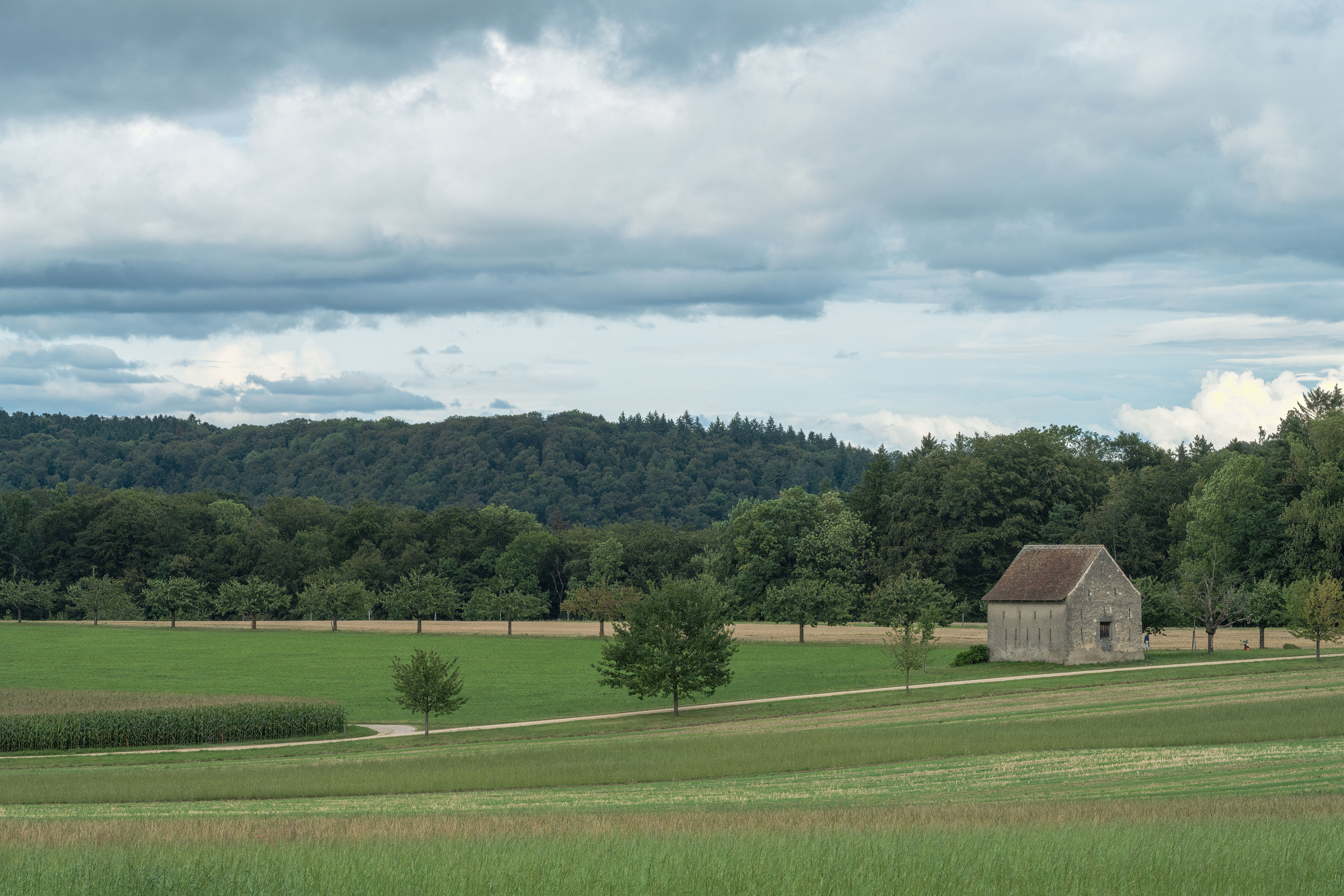 Building and Trees in Countryside · Free Stock Photo