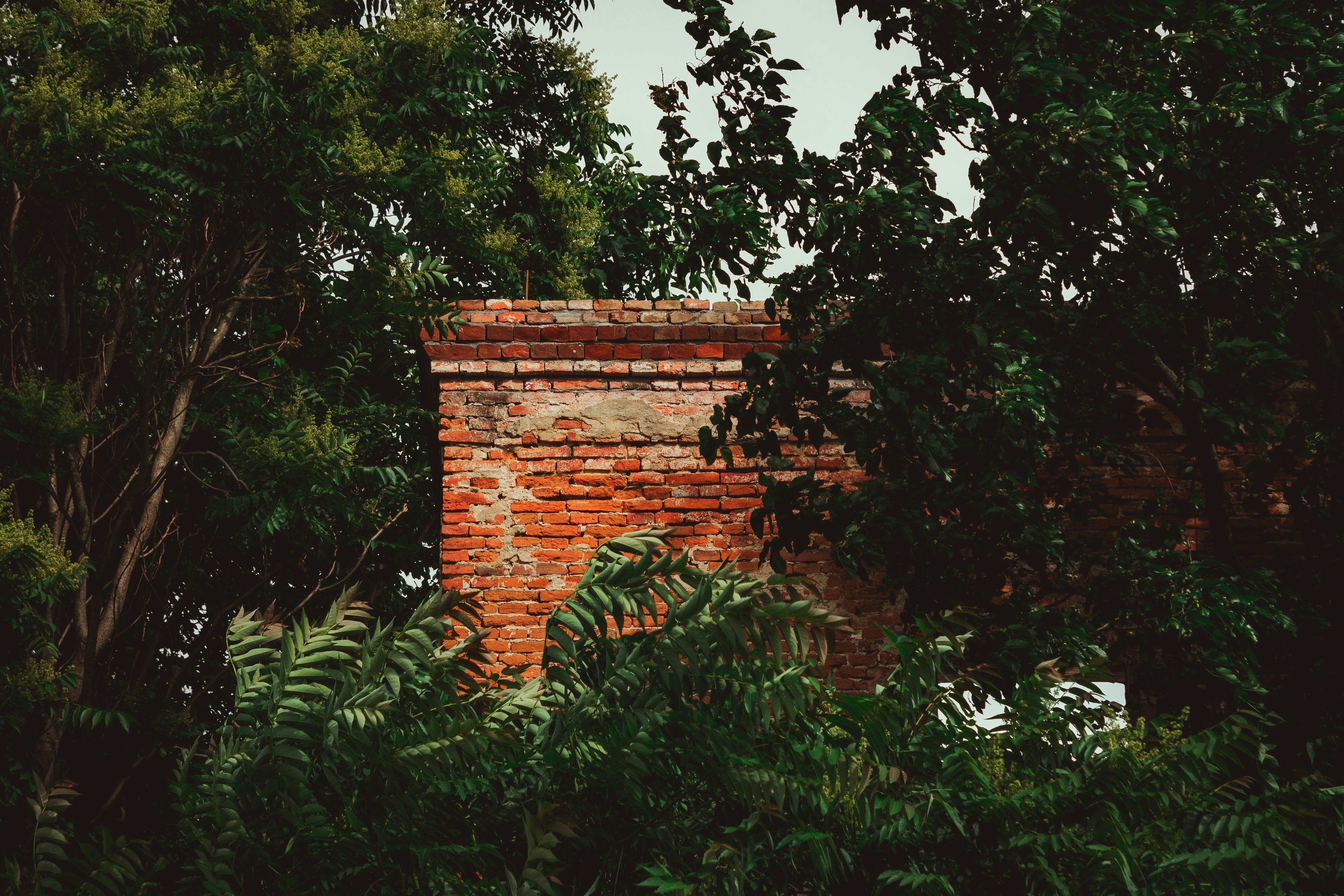 Tree Destroying House Photos, Download The BEST Free Tree Destroying ...