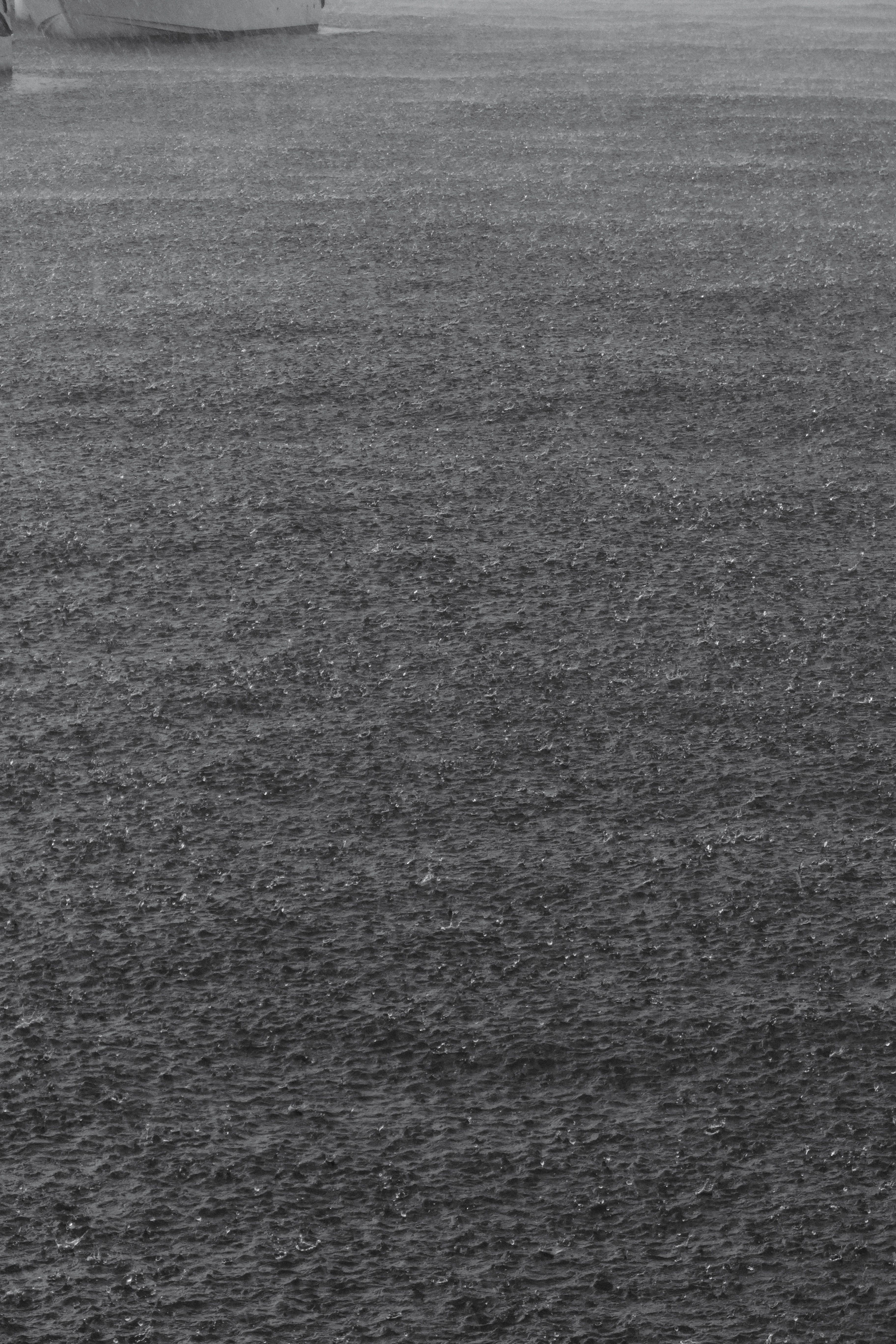 Rain in a Park Hitting the Surface of a Pond · Free Stock Photo