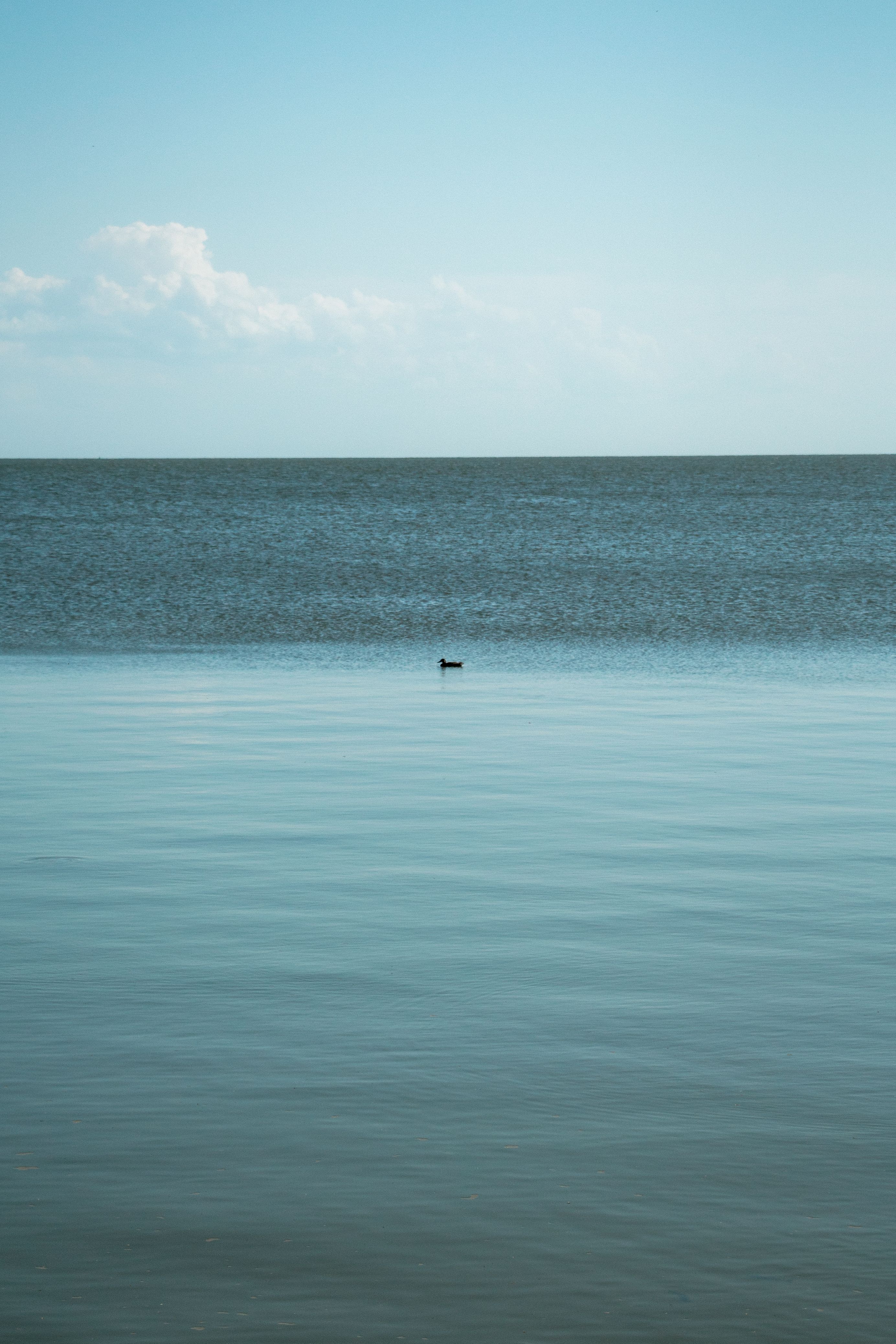 People Swimming in the Sea · Free Stock Photo