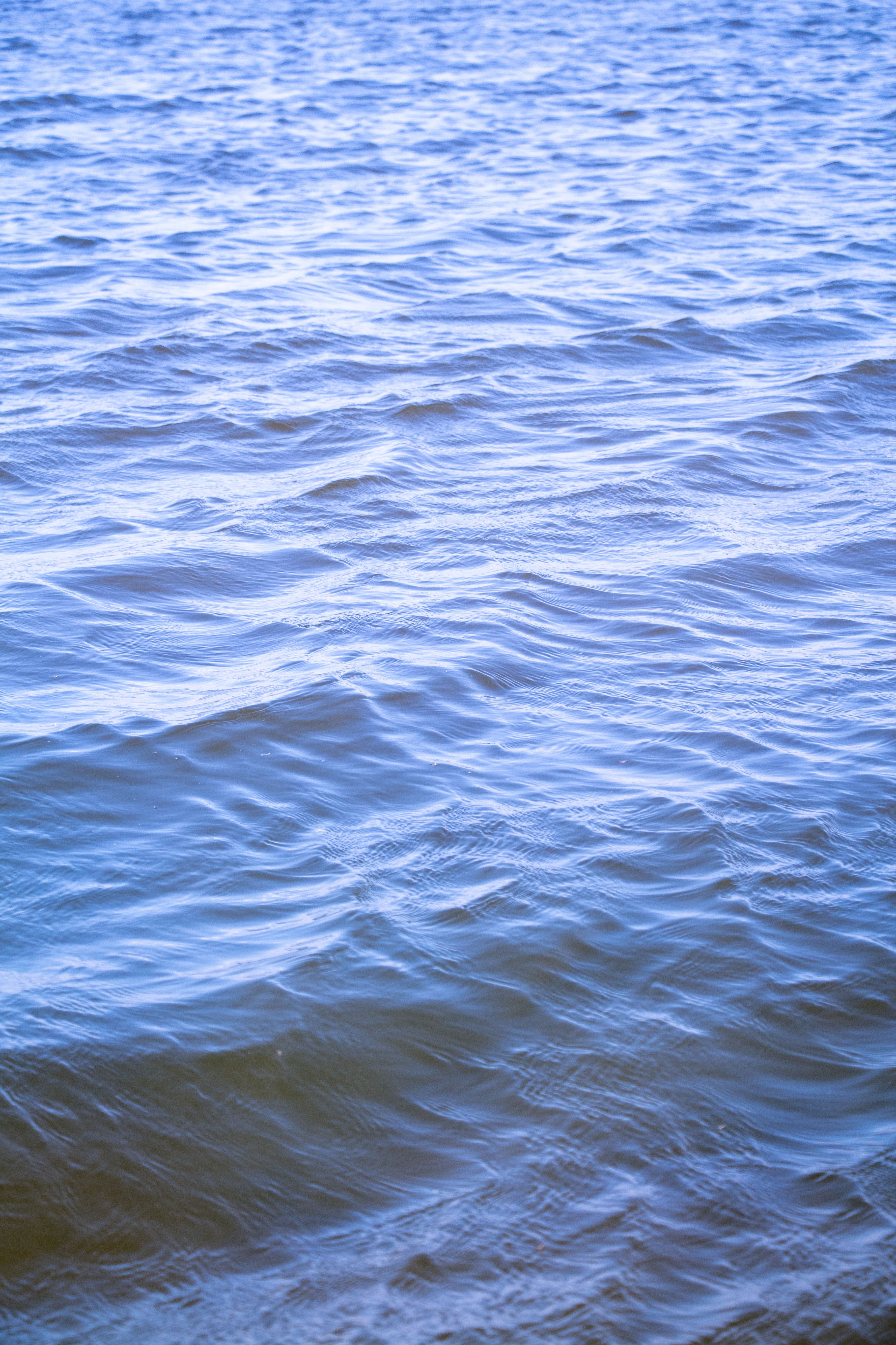Blue, Wavy Water Surface · Free Stock Photo