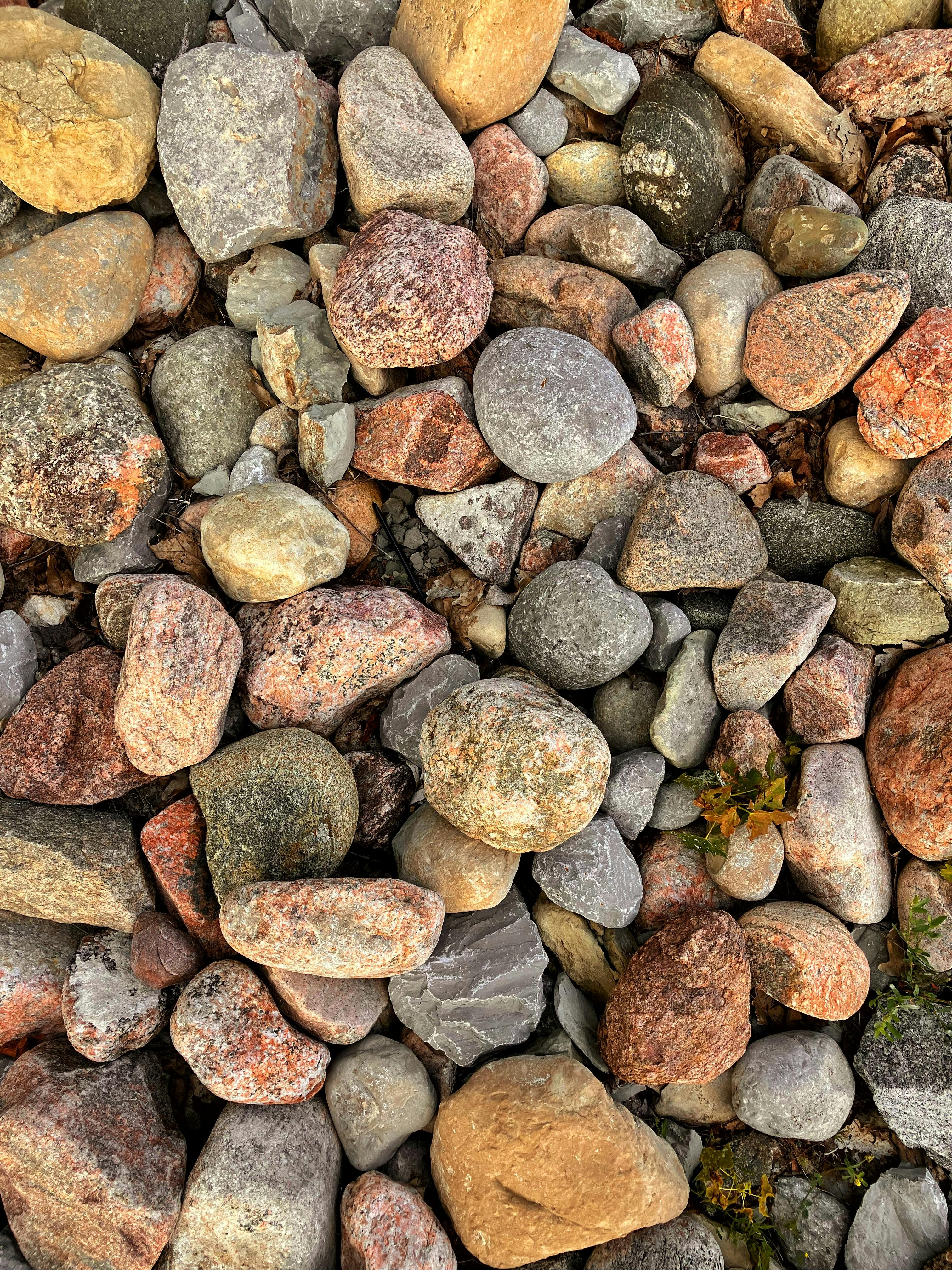 Close-Up Photo Of Pebbles · Free Stock Photo