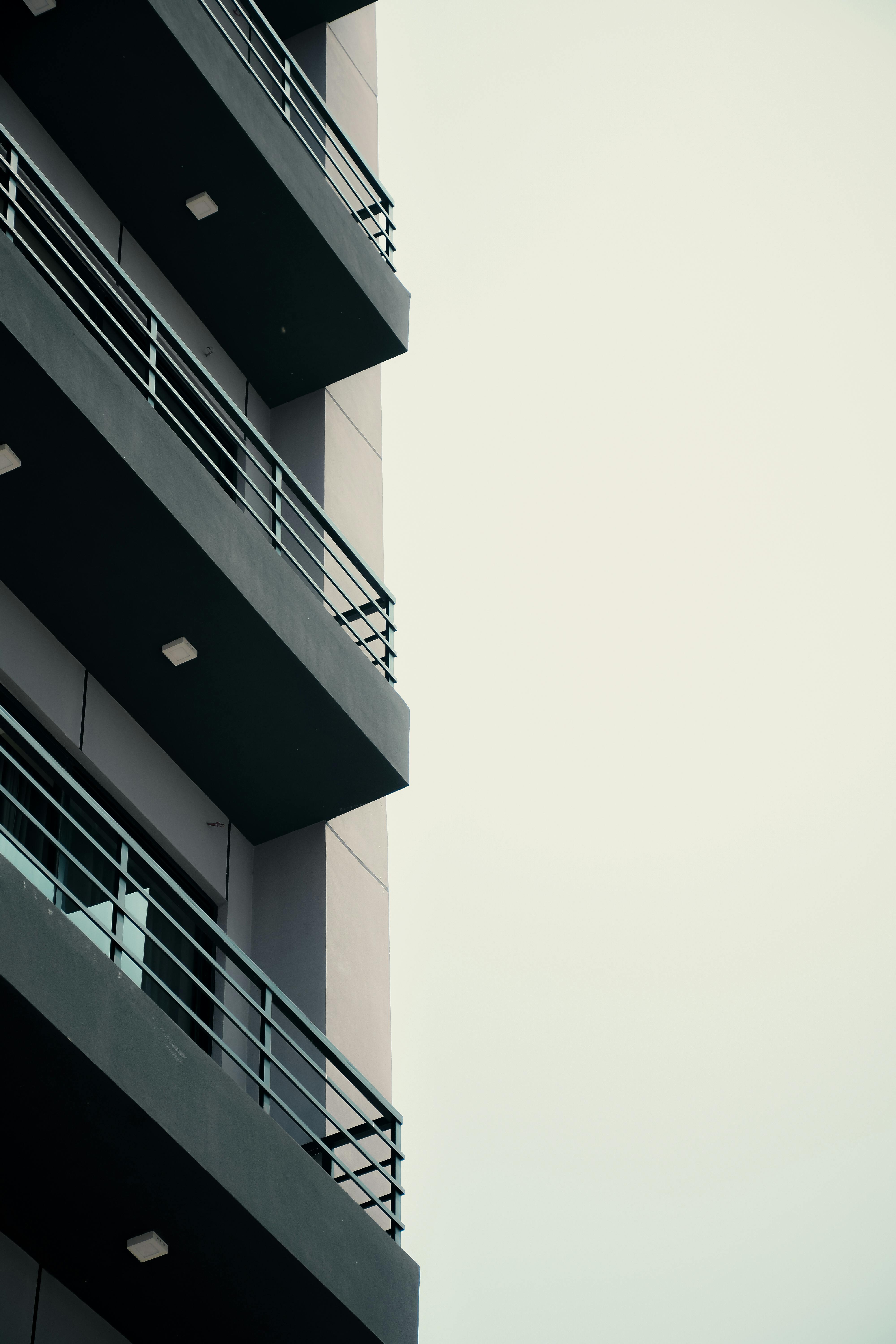 Low Maintenance Photos, Download The BEST Free Low Maintenance Stock ...