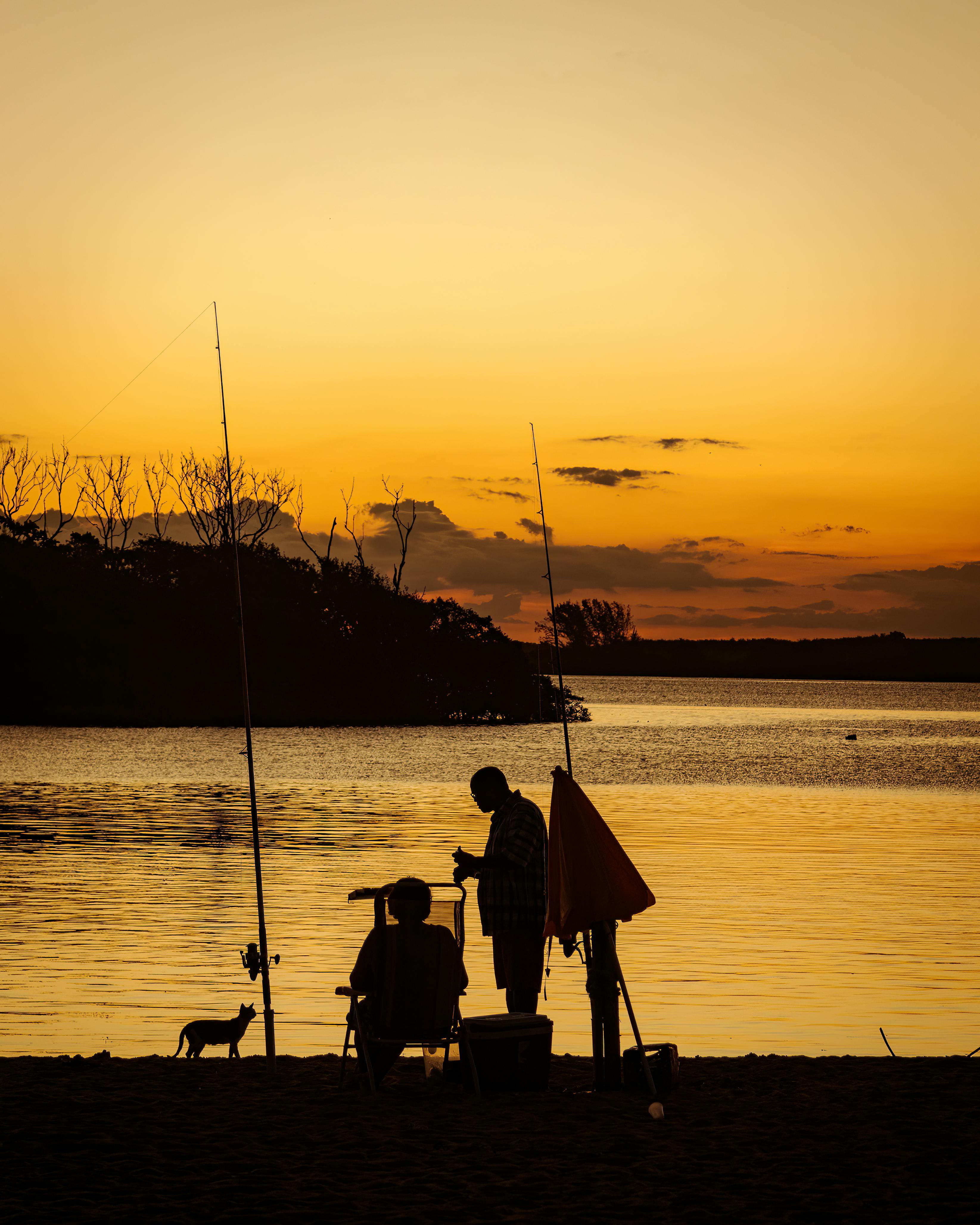 Silhouette of Anglers on Beach · Free Stock Photo