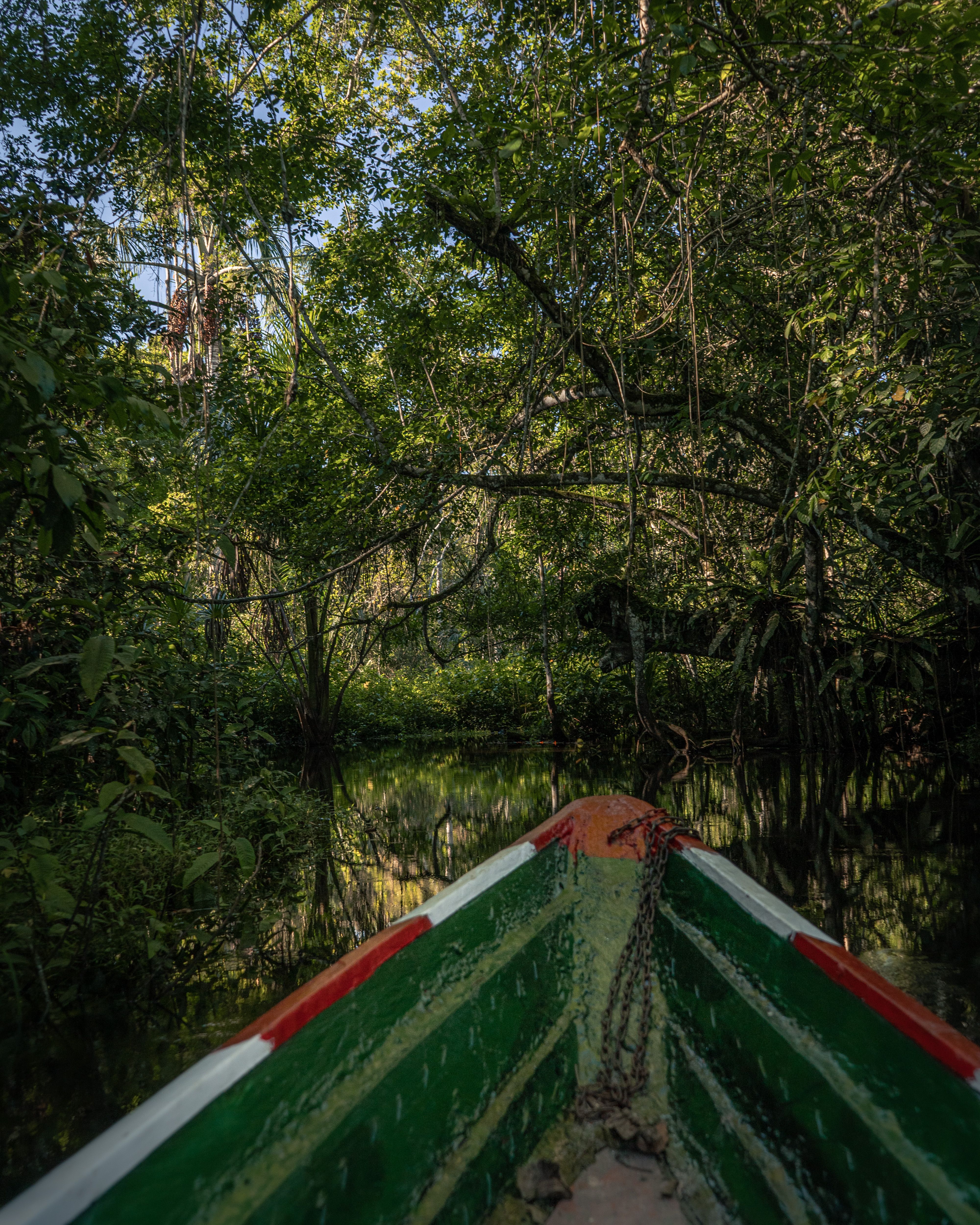 Boat on Lake in Forest · Free Stock Photo