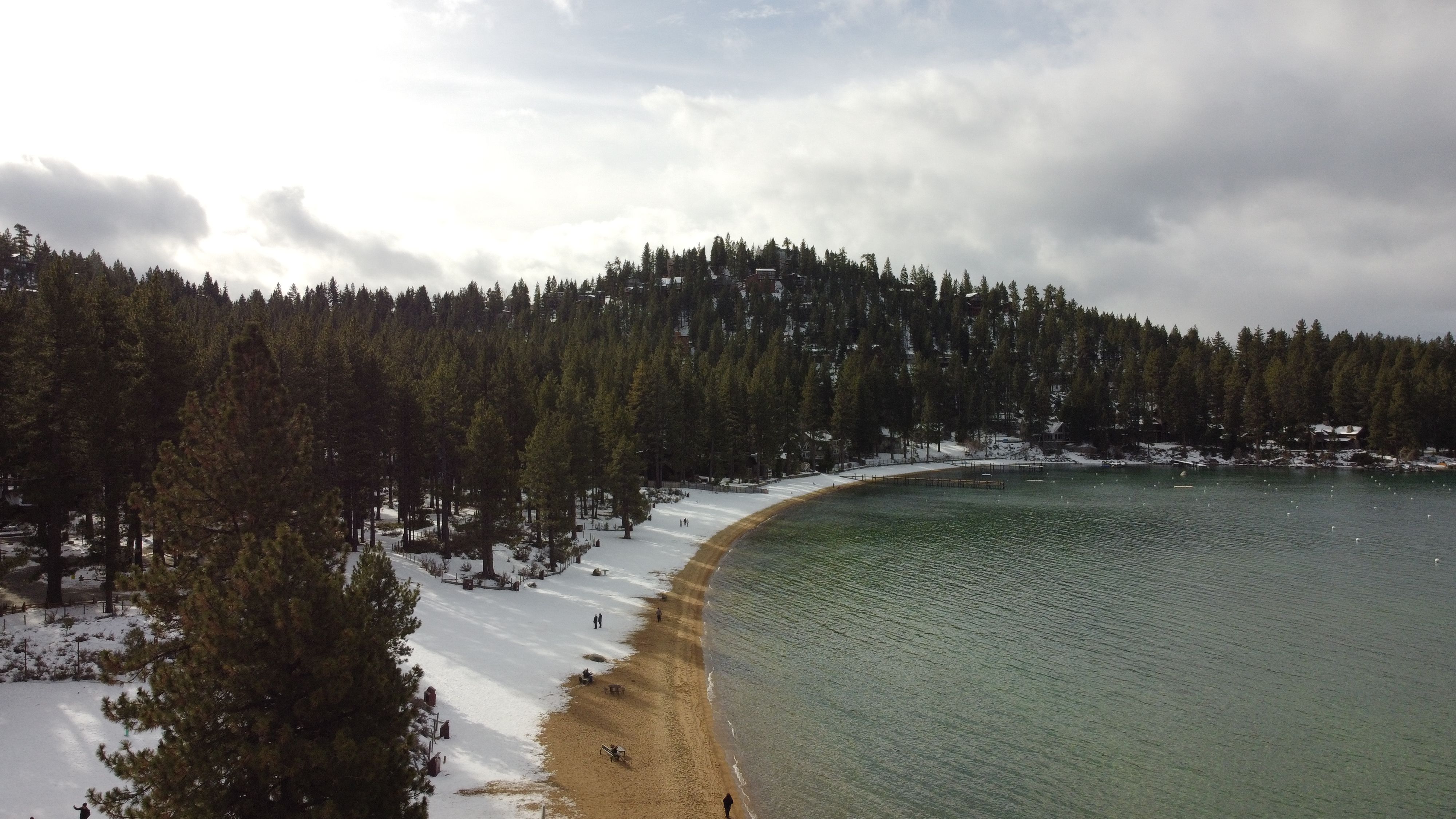 Forest on Lakeshore in Winter · Free Stock Photo