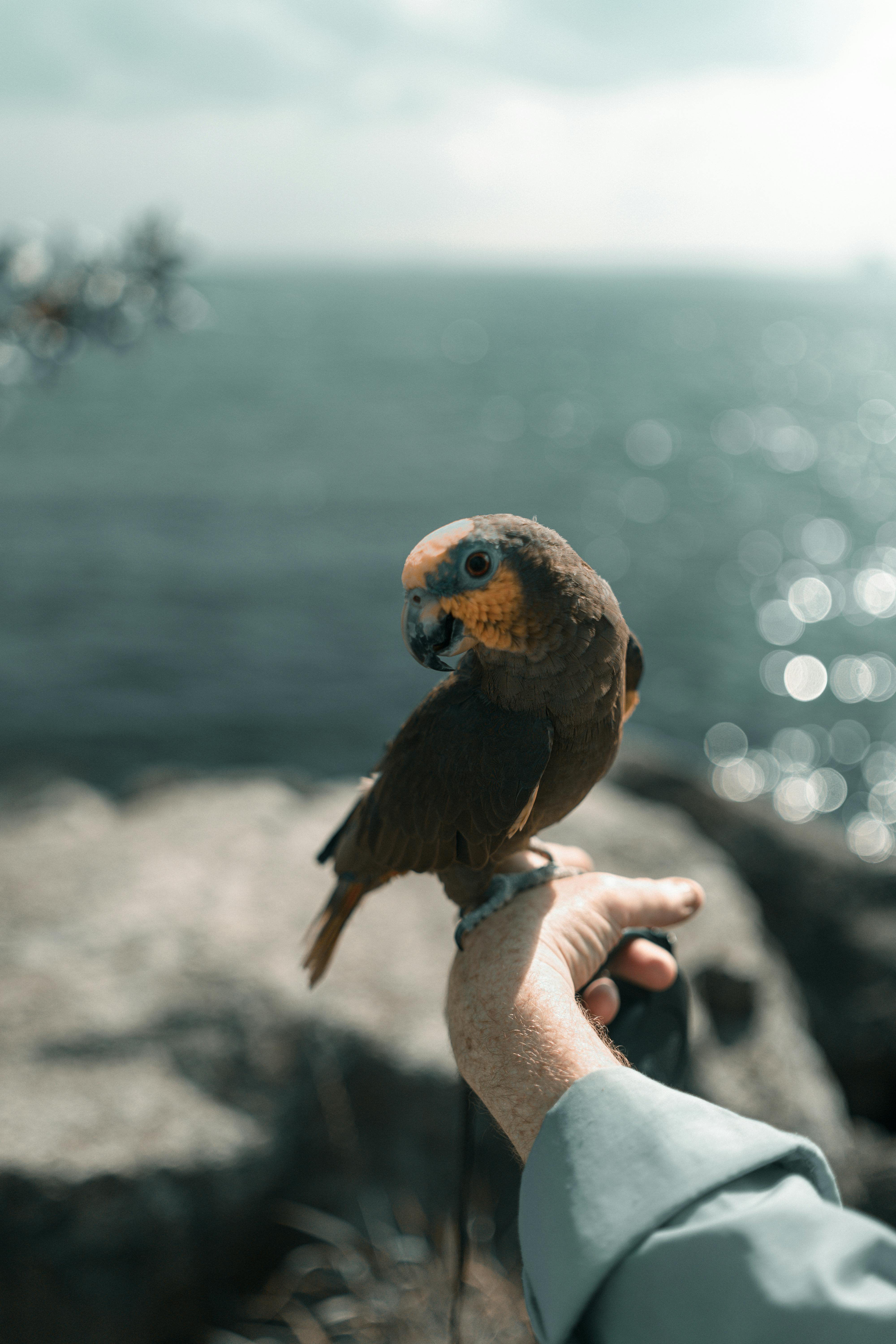 Cute Scenery Beach Desktop Photos, Download The BEST Free Cute Scenery ...