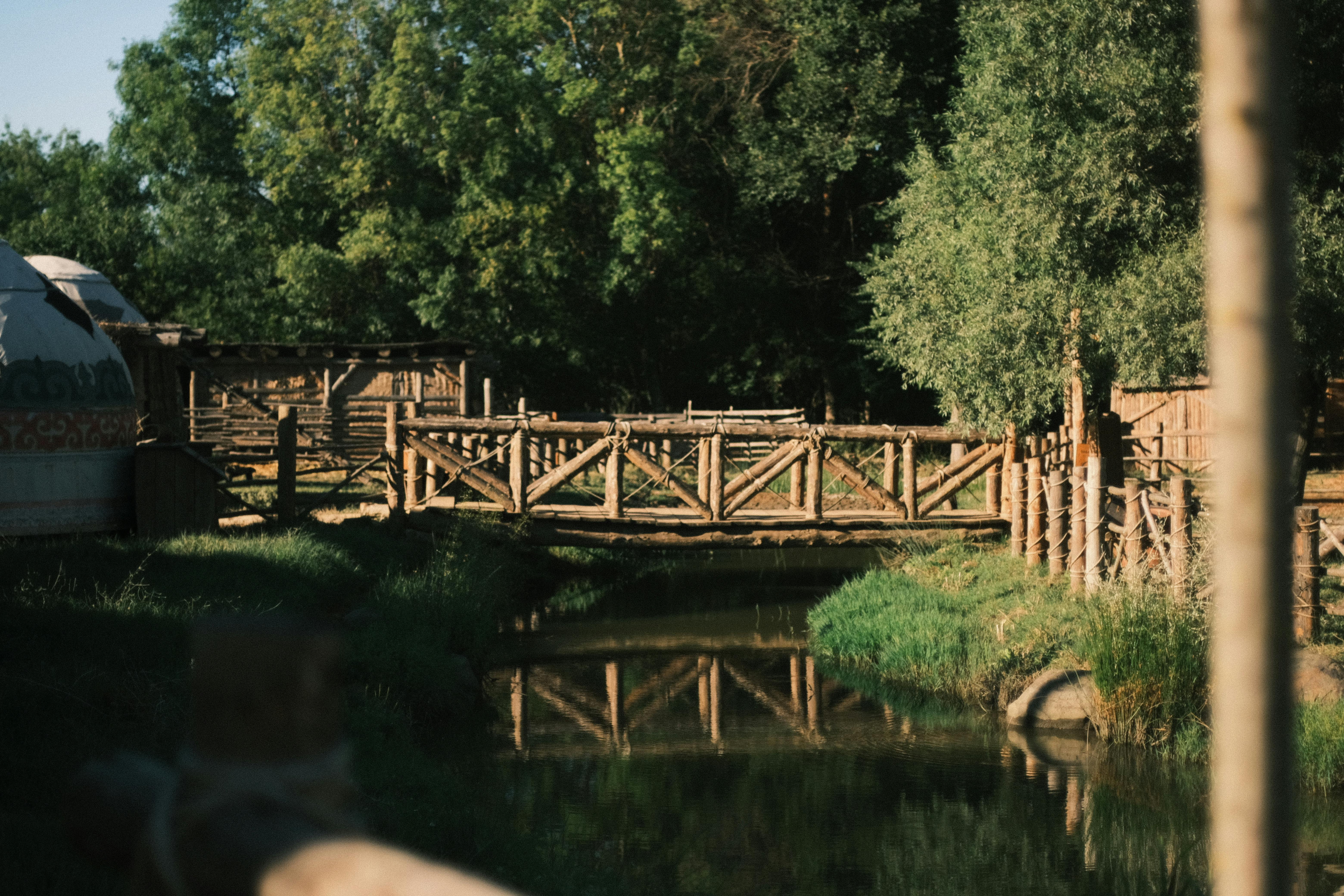 Wooden Bridge over Stream · Free Stock Photo