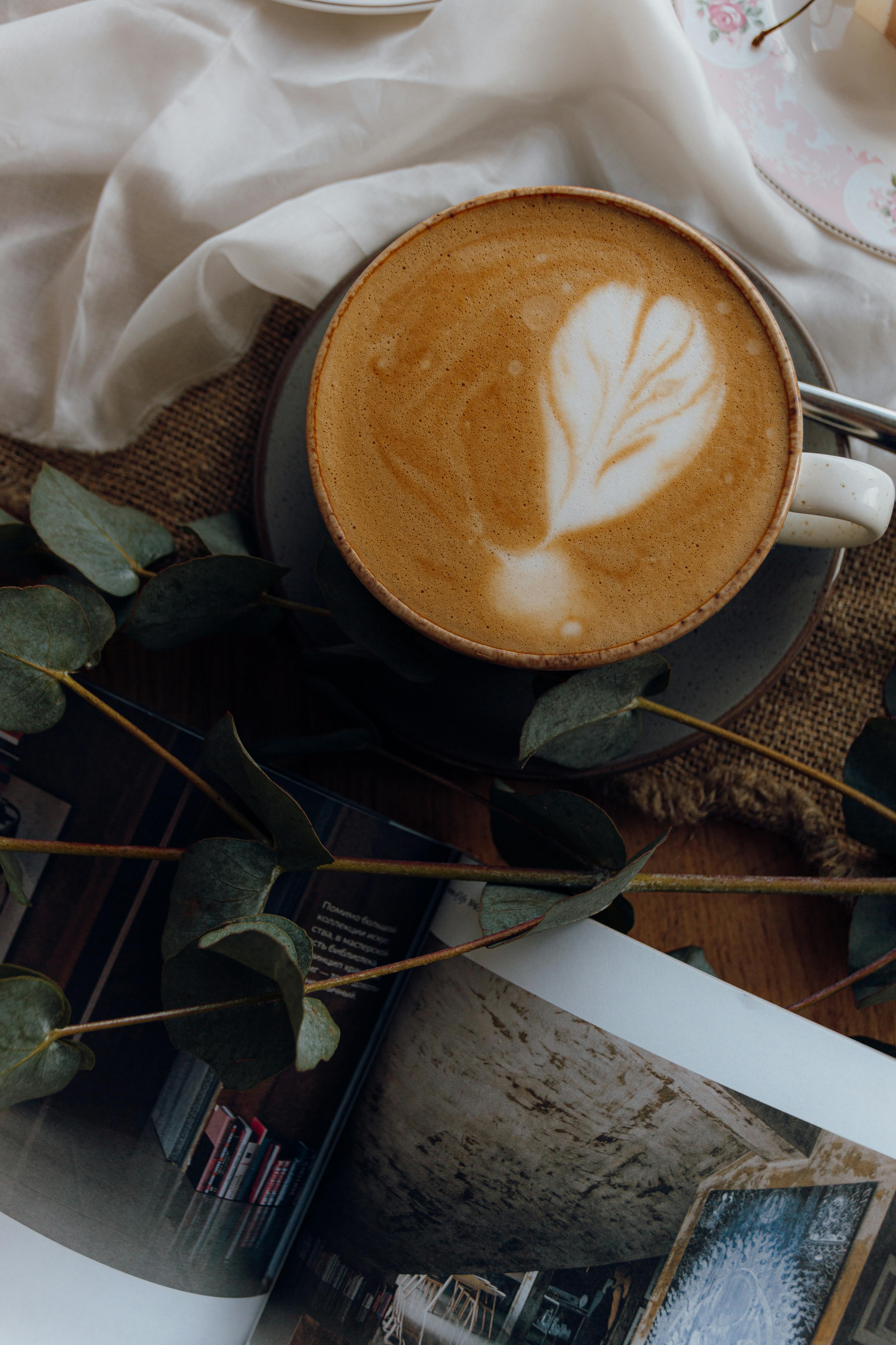 Still Process Photos, Download The BEST Free Still Process Stock Photos ...