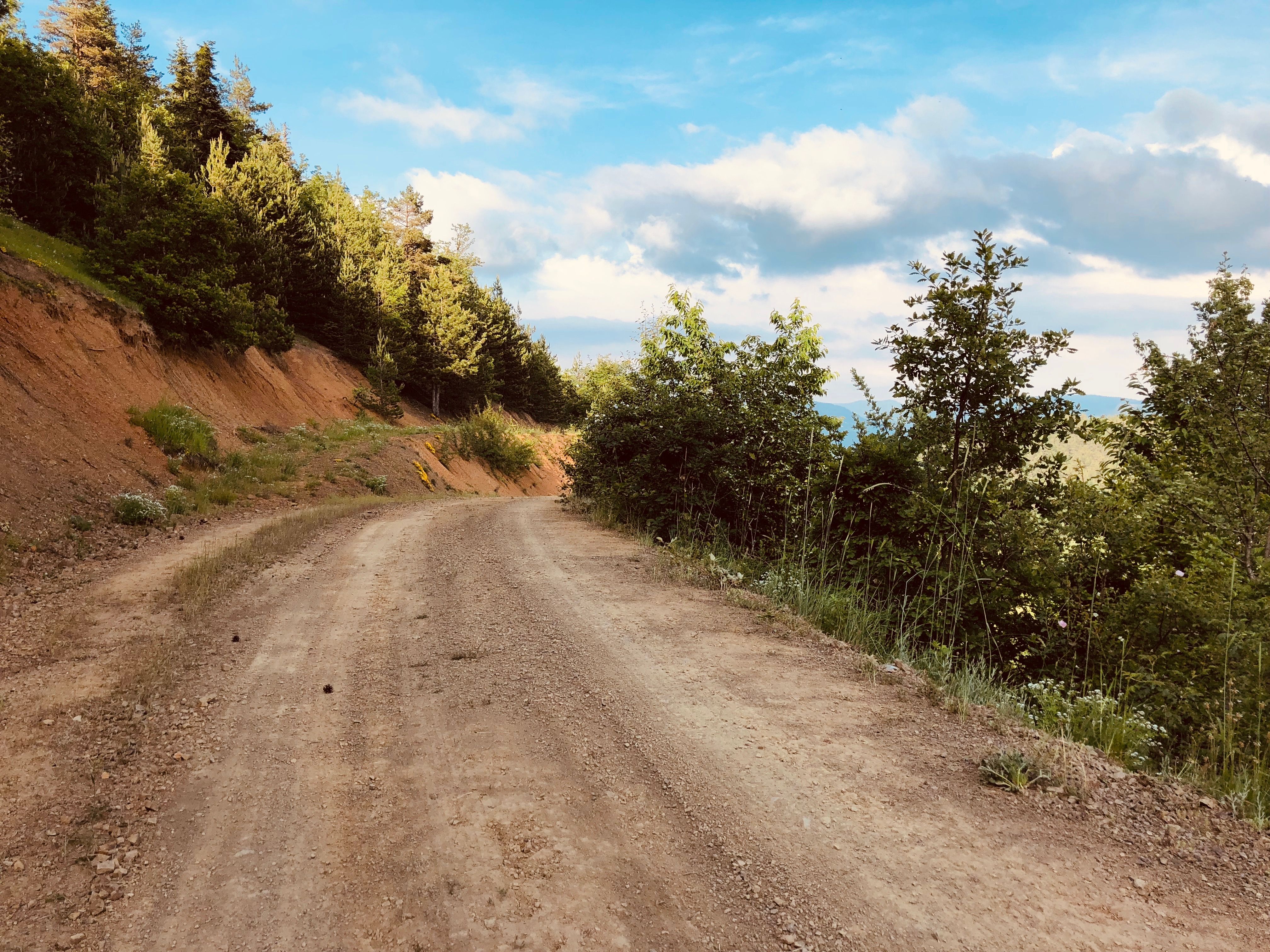 Dirt Road on Hillside · Free Stock Photo