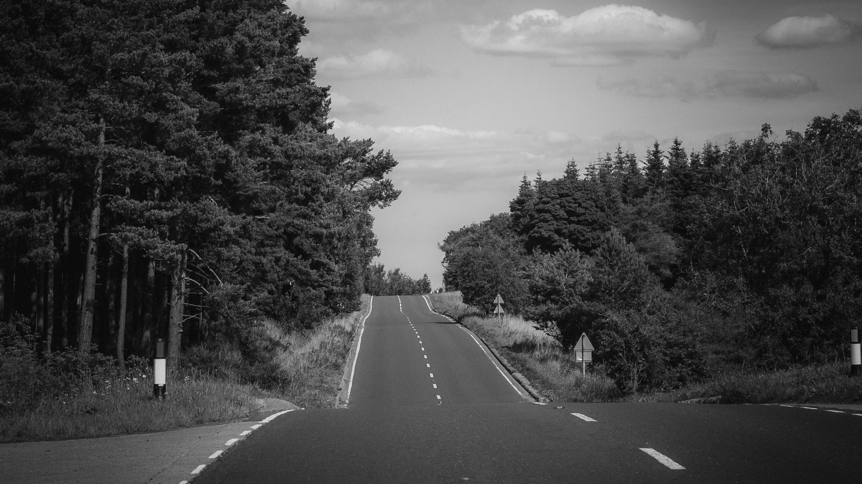 Photo gratuite de arbres, asphalte, bucolique, calme, campagne ...