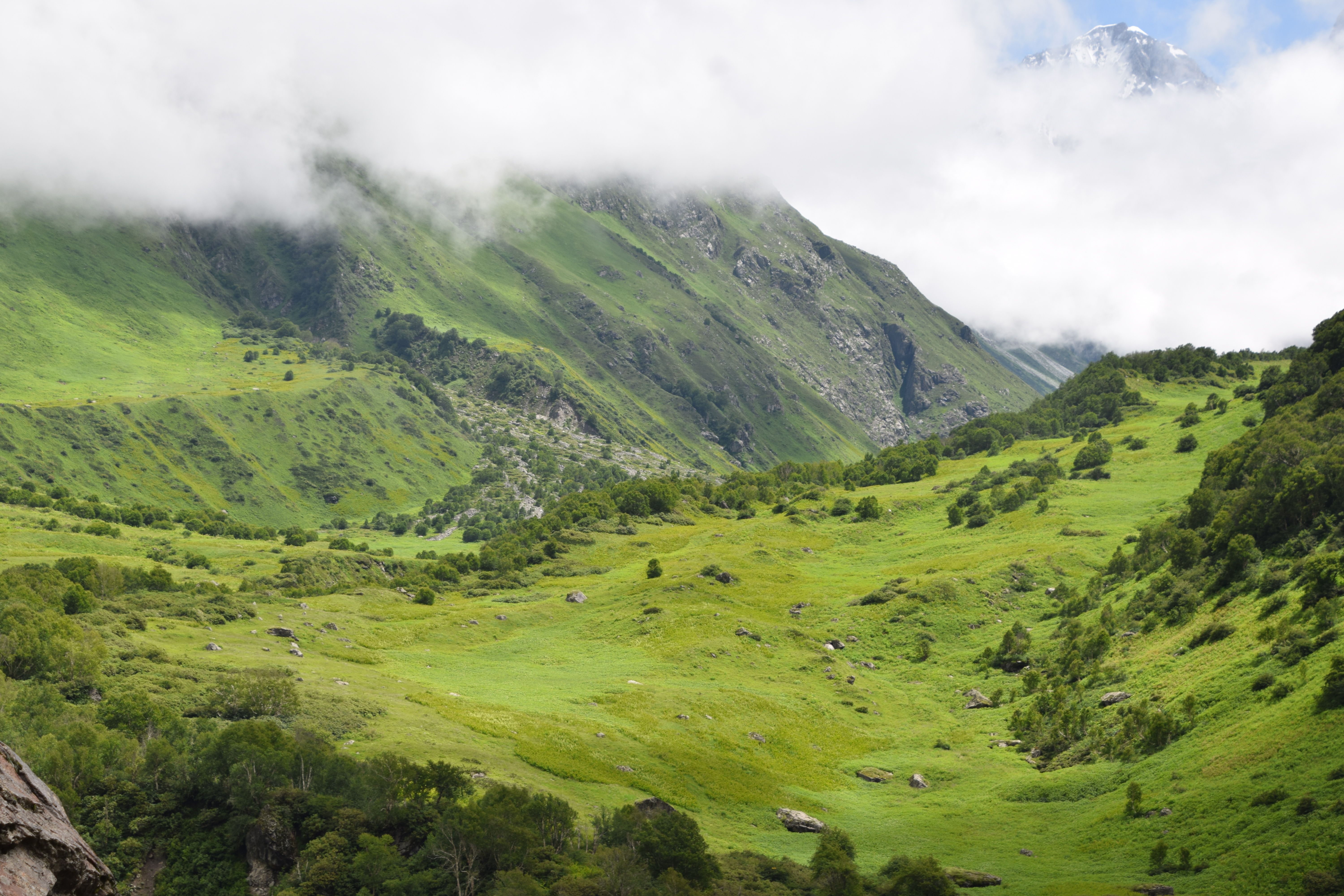 Green Countryside Landscape · Free Stock Photo