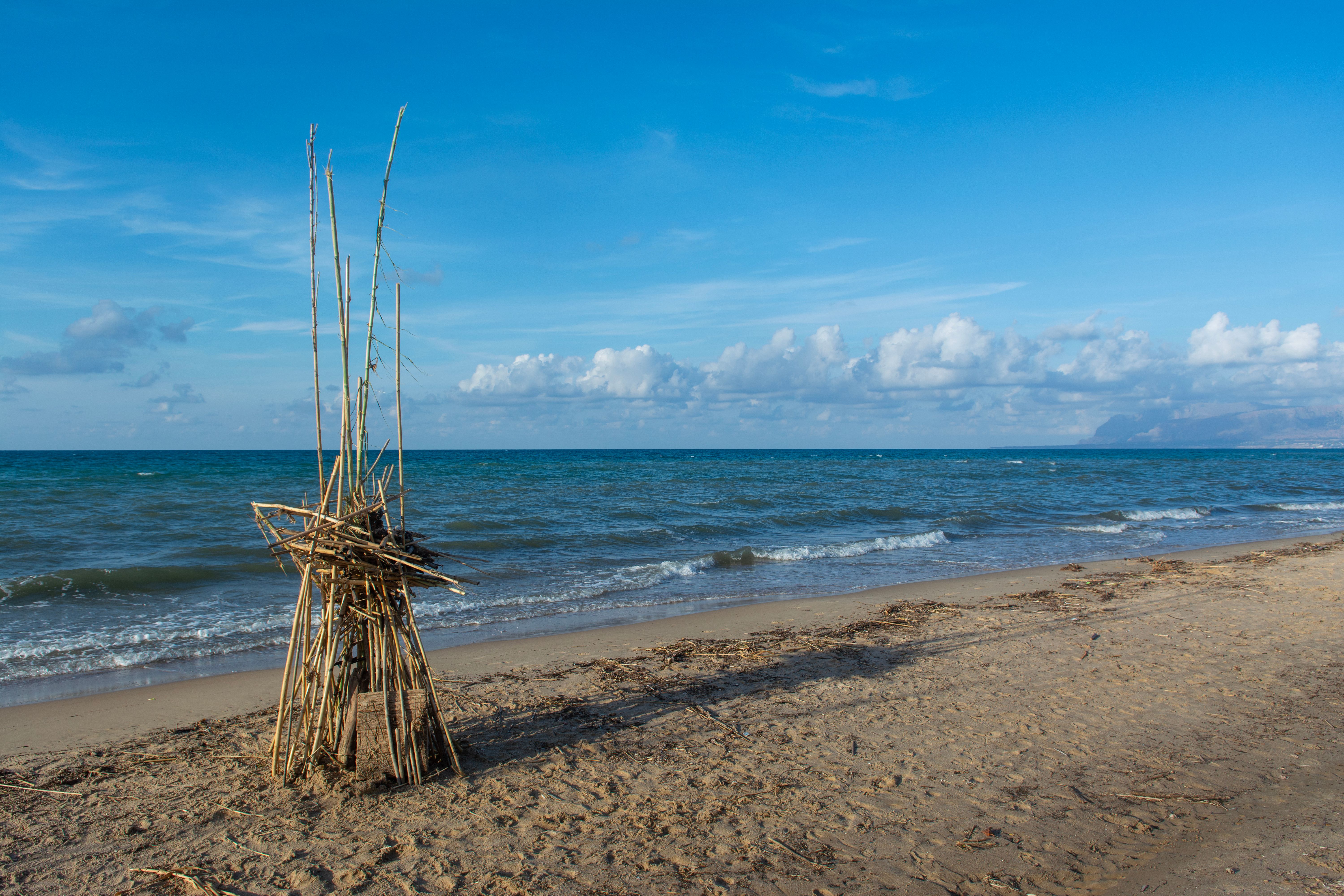 Sticks Standing on Beach · Free Stock Photo
