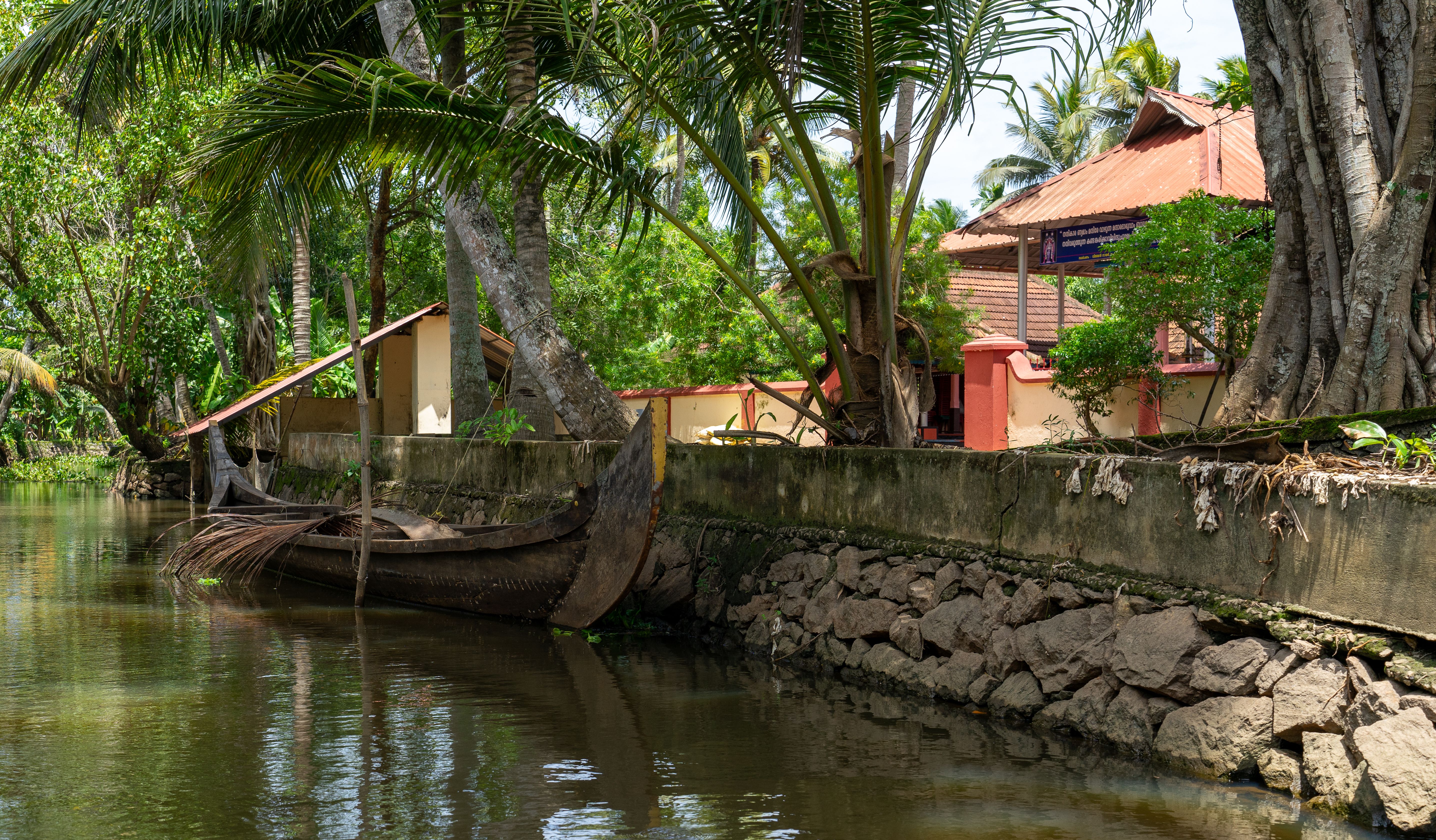 Old Boat Moored Under Palm Trees by the Canal Bank · Free Stock Photo