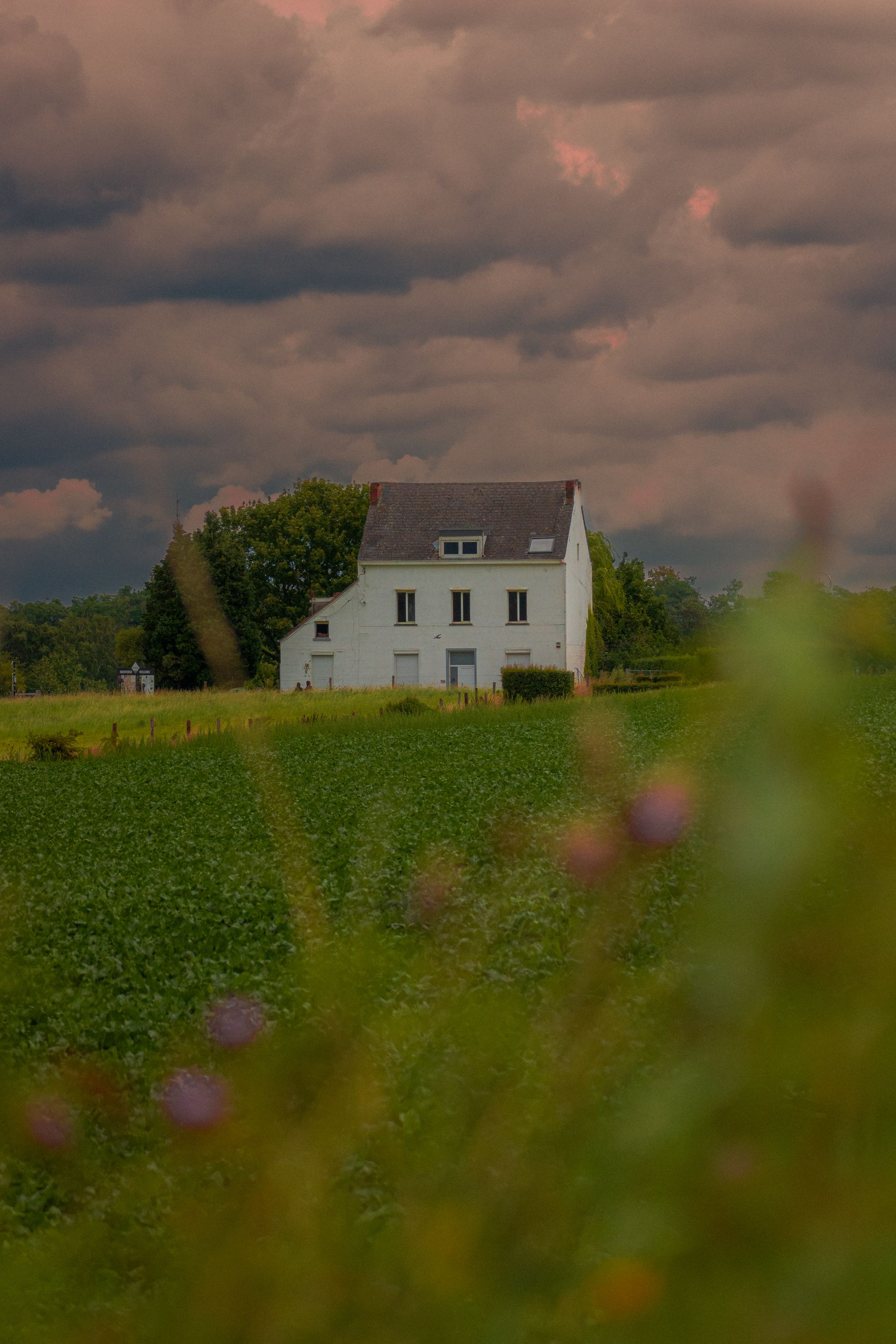 House behind Field in Village · Free Stock Photo