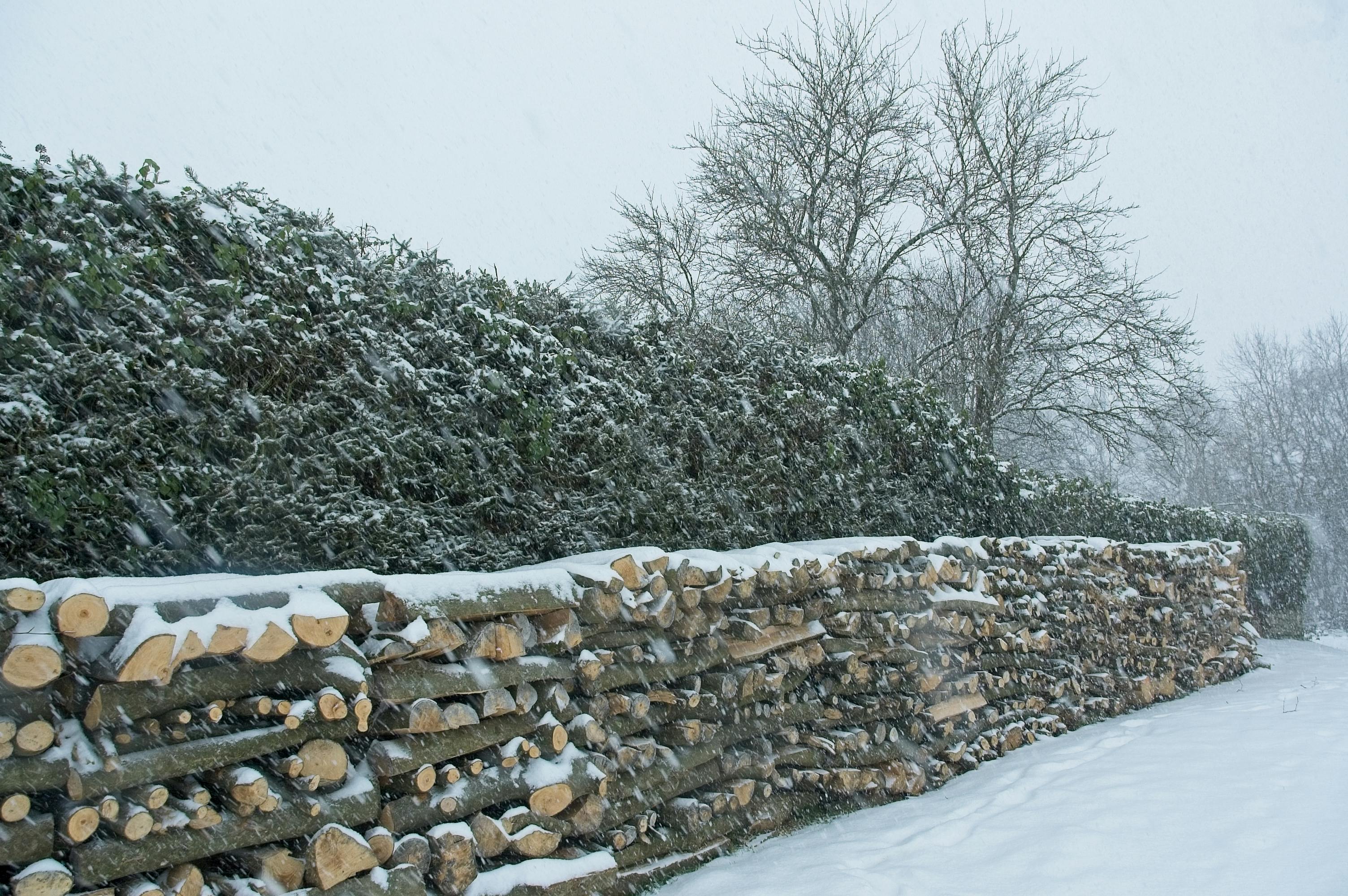 3.783+ Fotos y Imágenes de Montículo de basura Gratis · Banco de Fotos ...