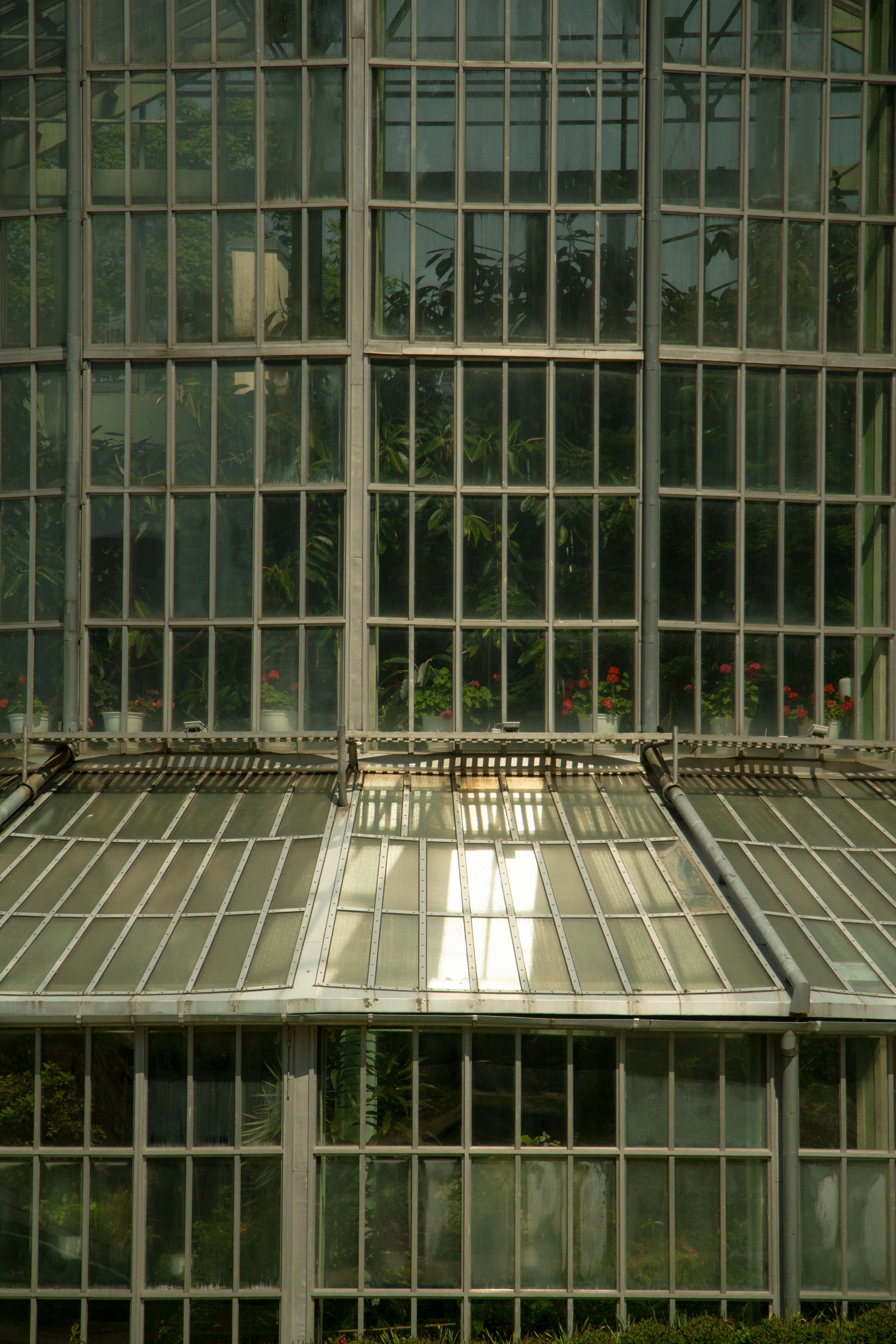 Photo of a Window · Free Stock Photo