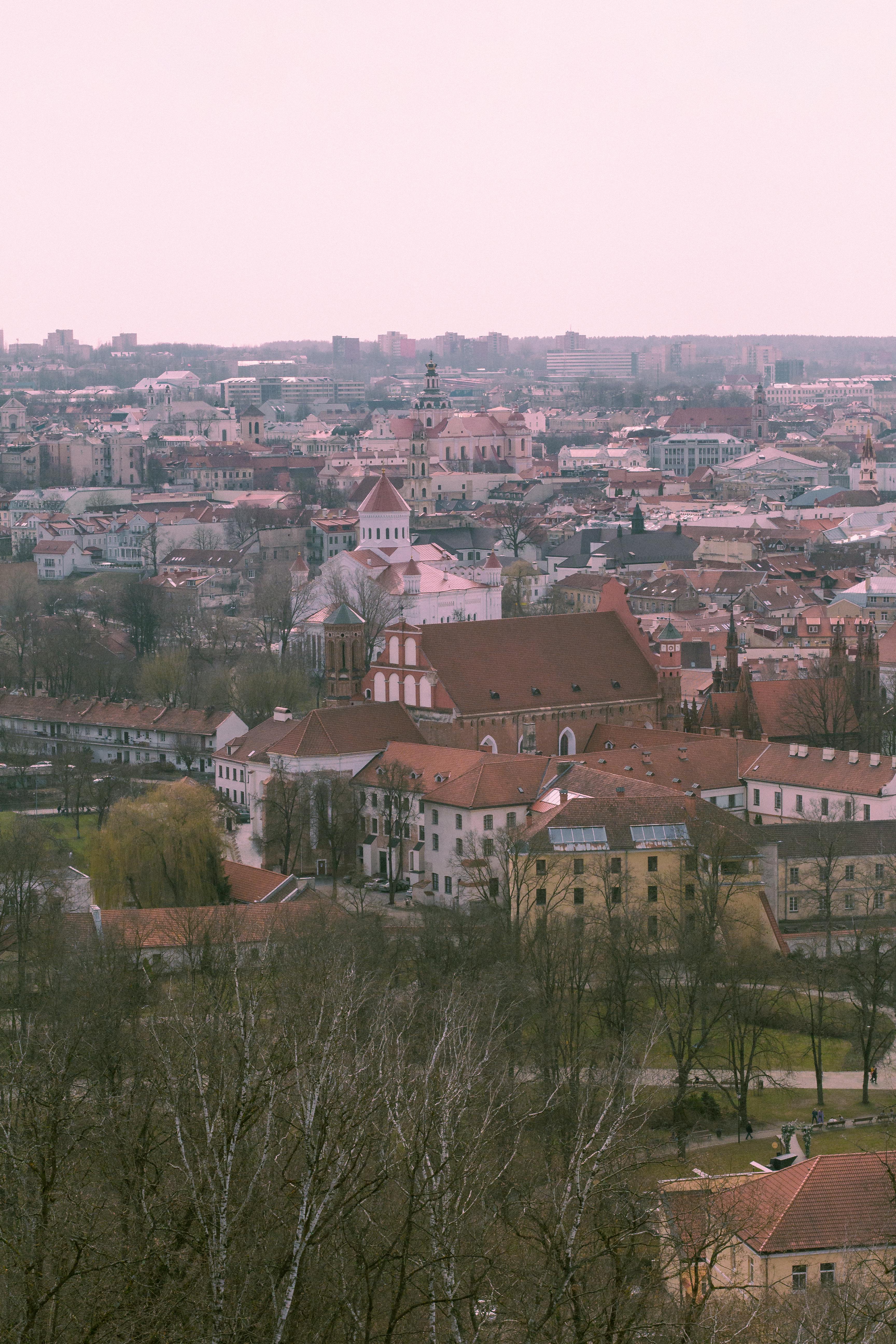 Cityscape of Vilnius · Free Stock Photo