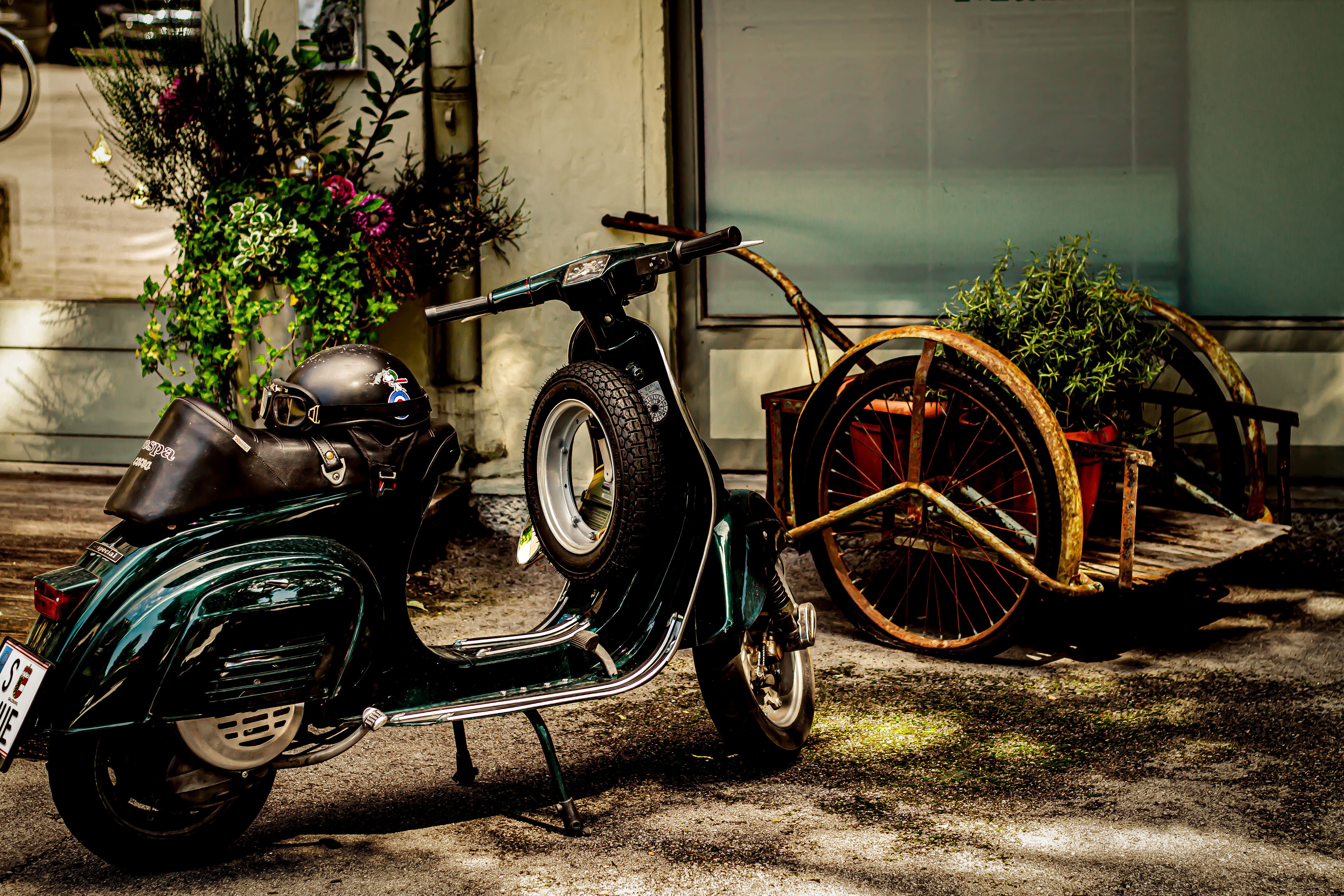 Motorcycle and Plants · Free Stock Photo