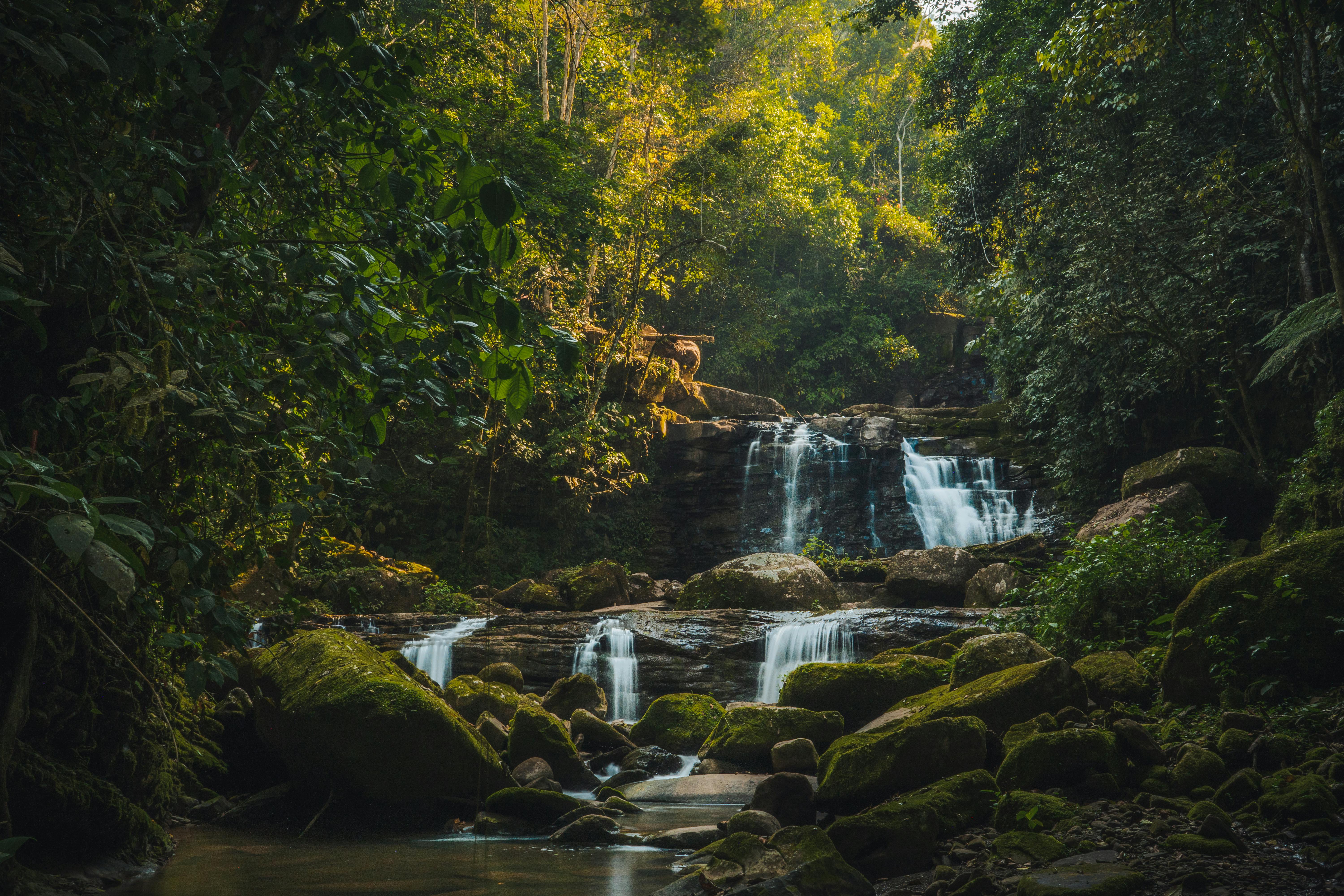 Waterfalls on Stream in Forest · Free Stock Photo