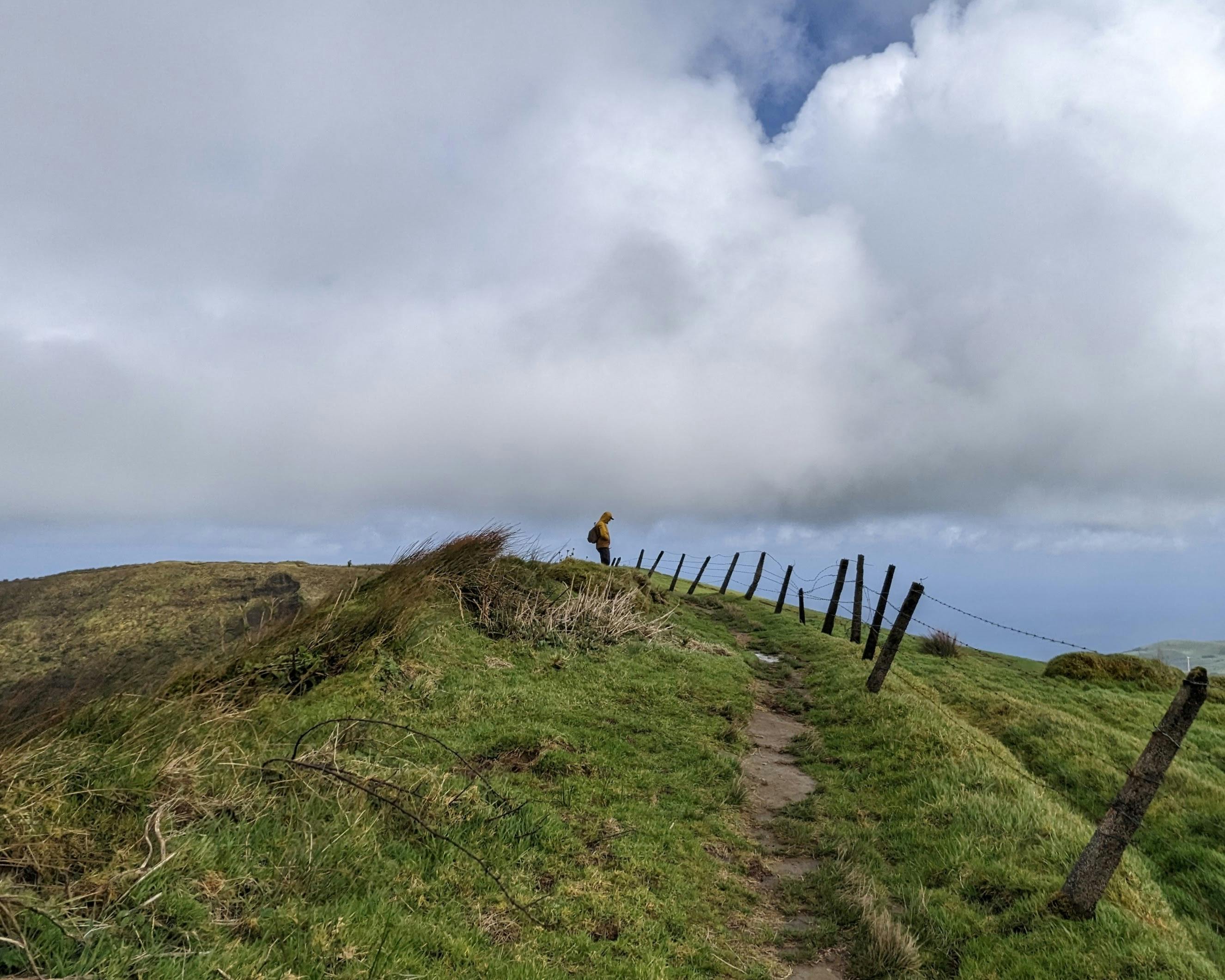 Person Standing by Fence on Green Hill · Free Stock Photo