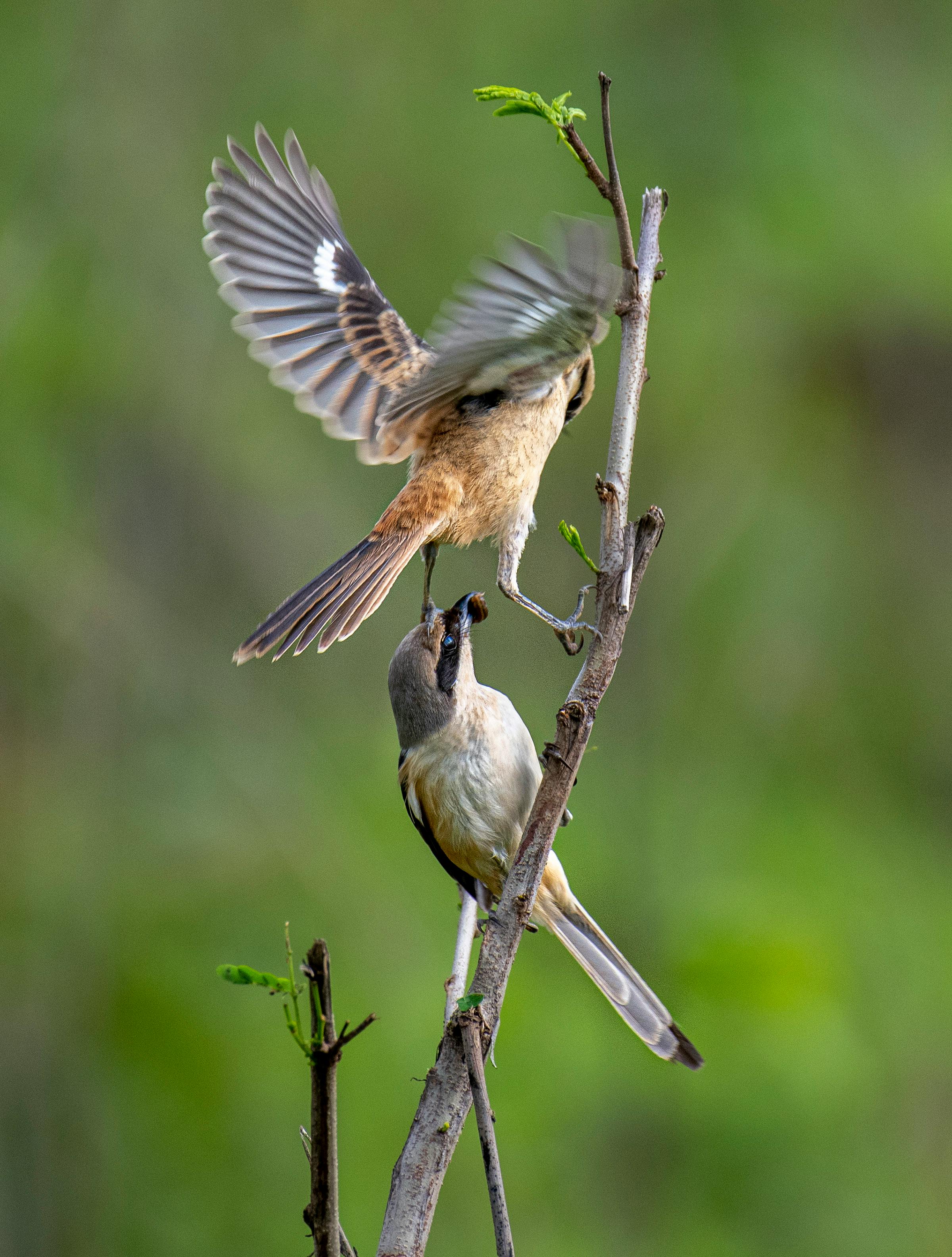 Animación Stop Motion Photos, Download The BEST Free Animación Stop ...