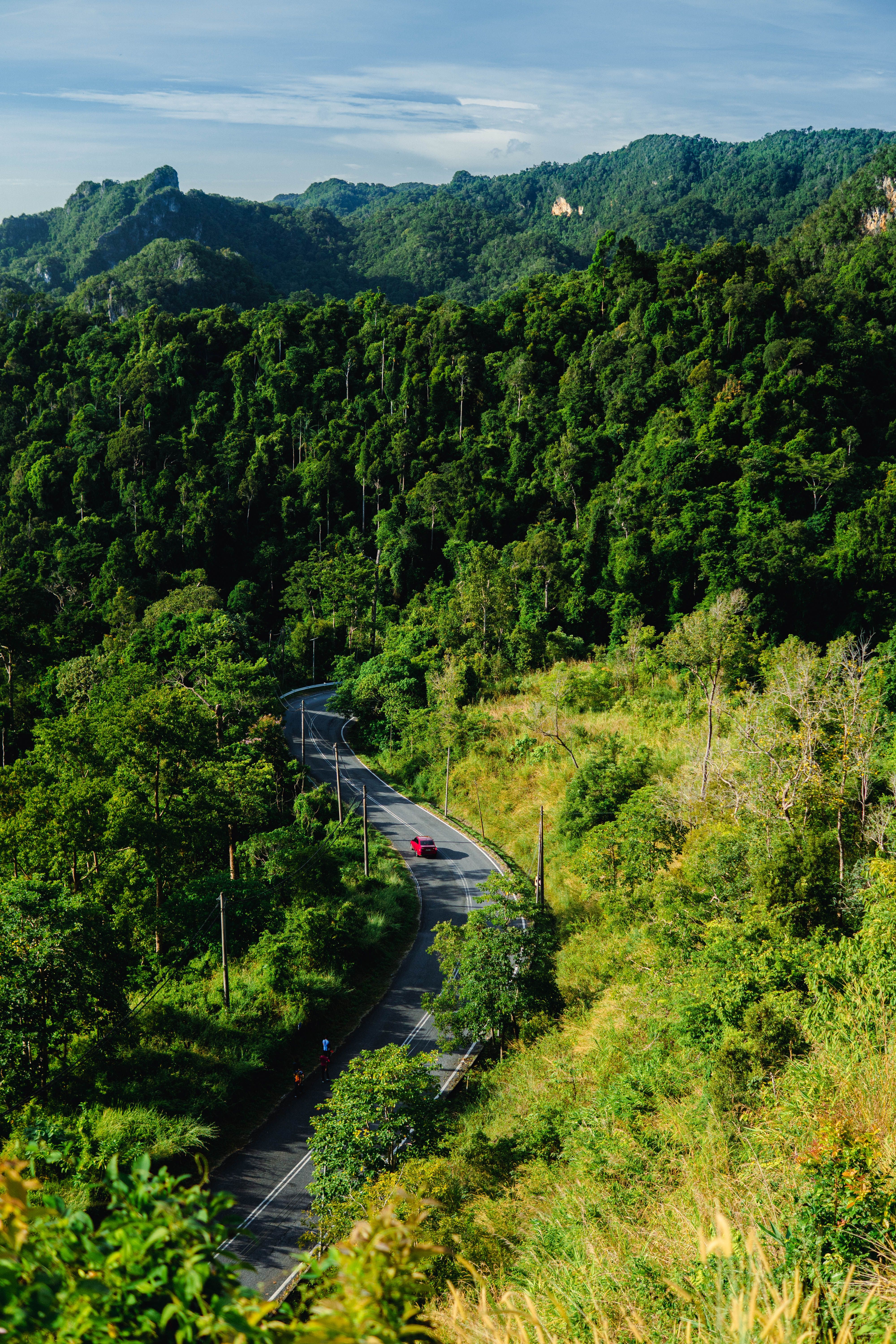 Road Among Woods in Malaysia · Free Stock Photo