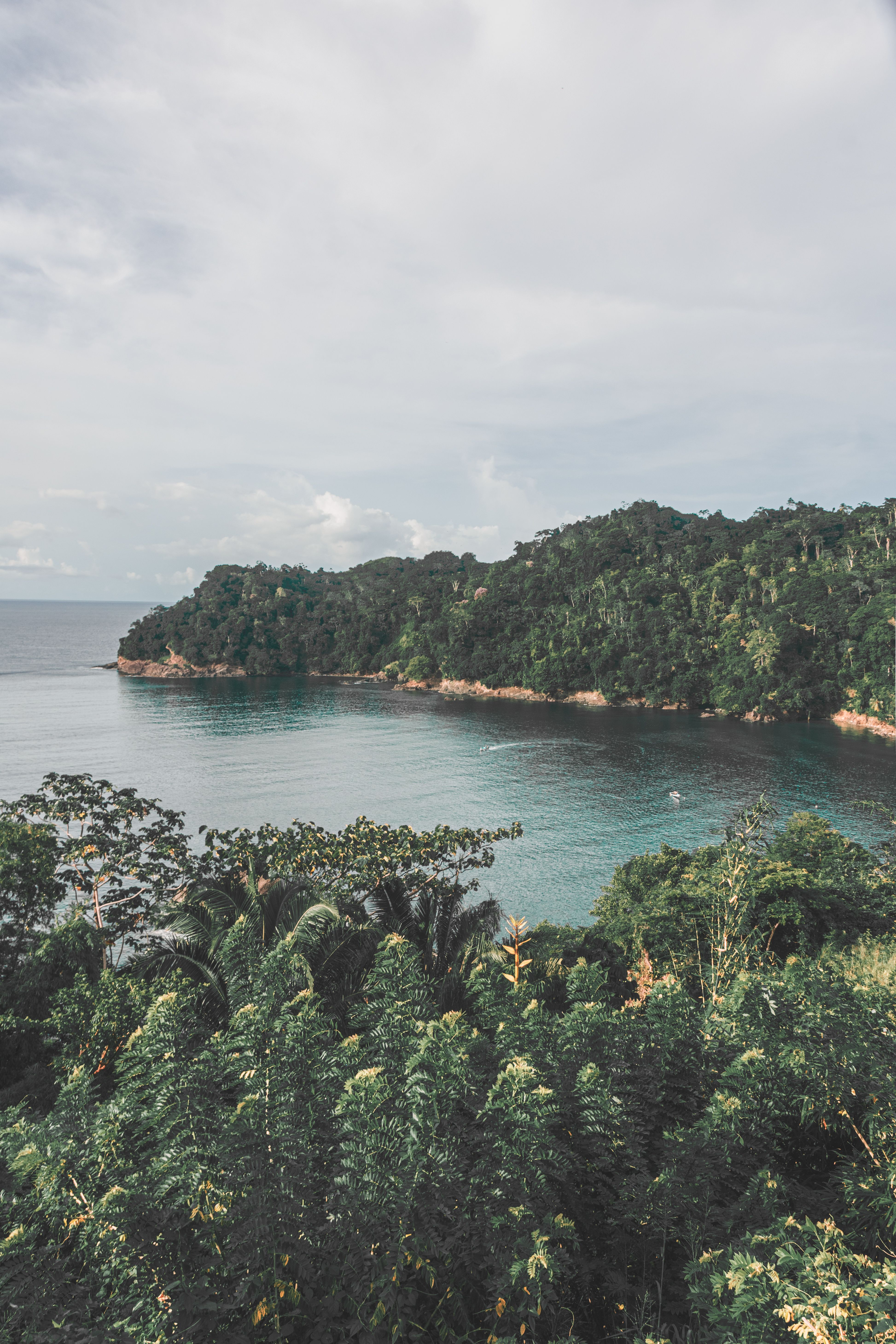 Sea Bay in Trinidad and Tobago · Free Stock Photo