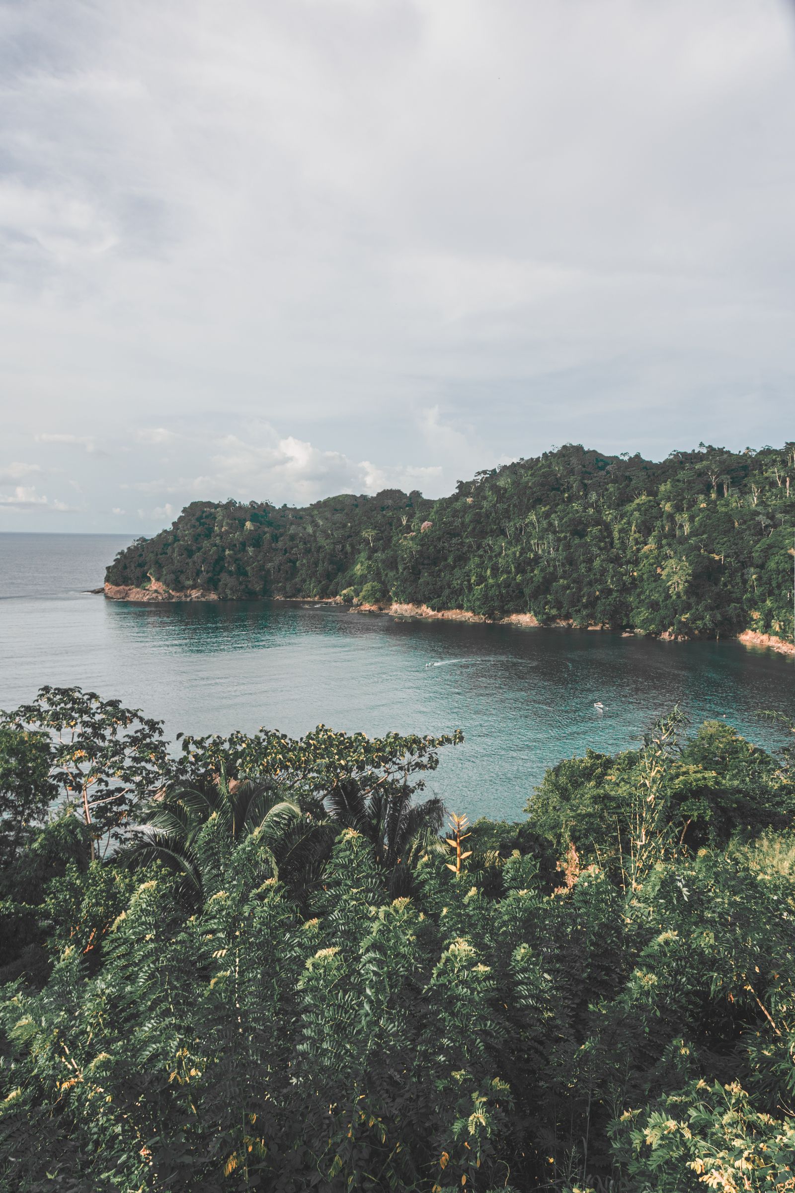 Trinidad Photos, Download The BEST Free Trinidad Stock Photos & HD Images