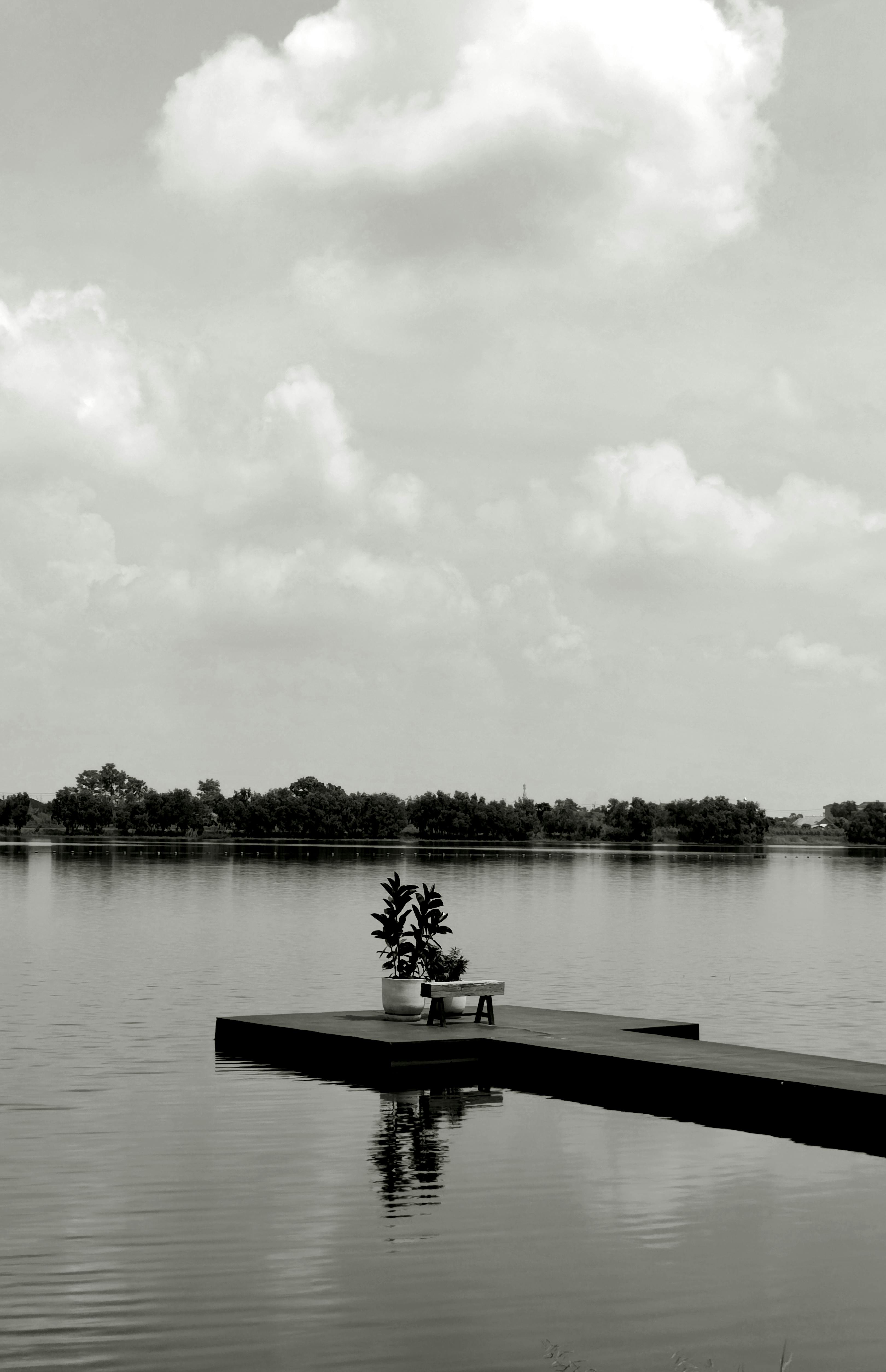 Potted Plant and Bench on a Wooden Jetty · Free Stock Photo