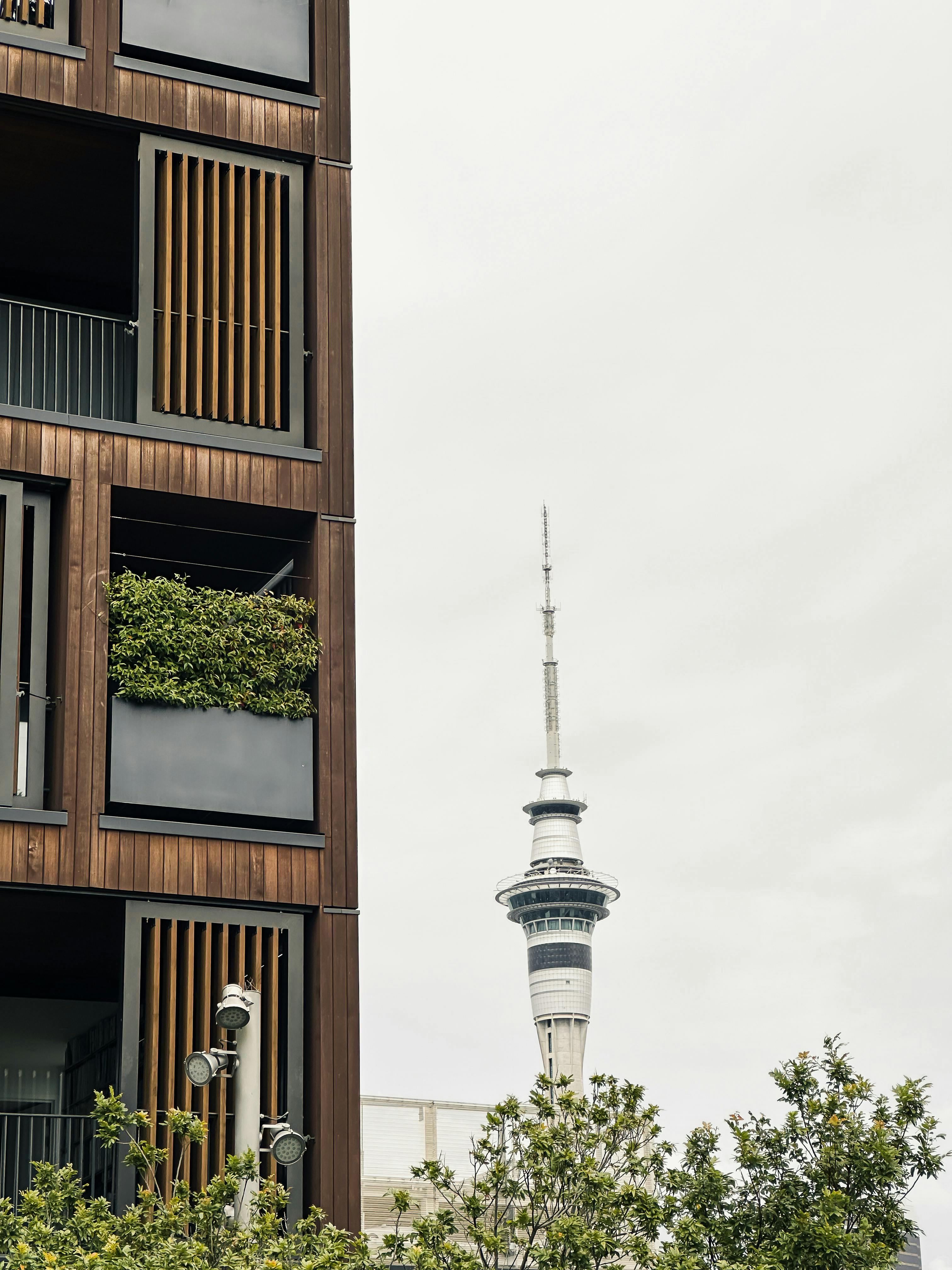 Skytower Photos, Download The BEST Free Skytower Stock Photos & HD Images