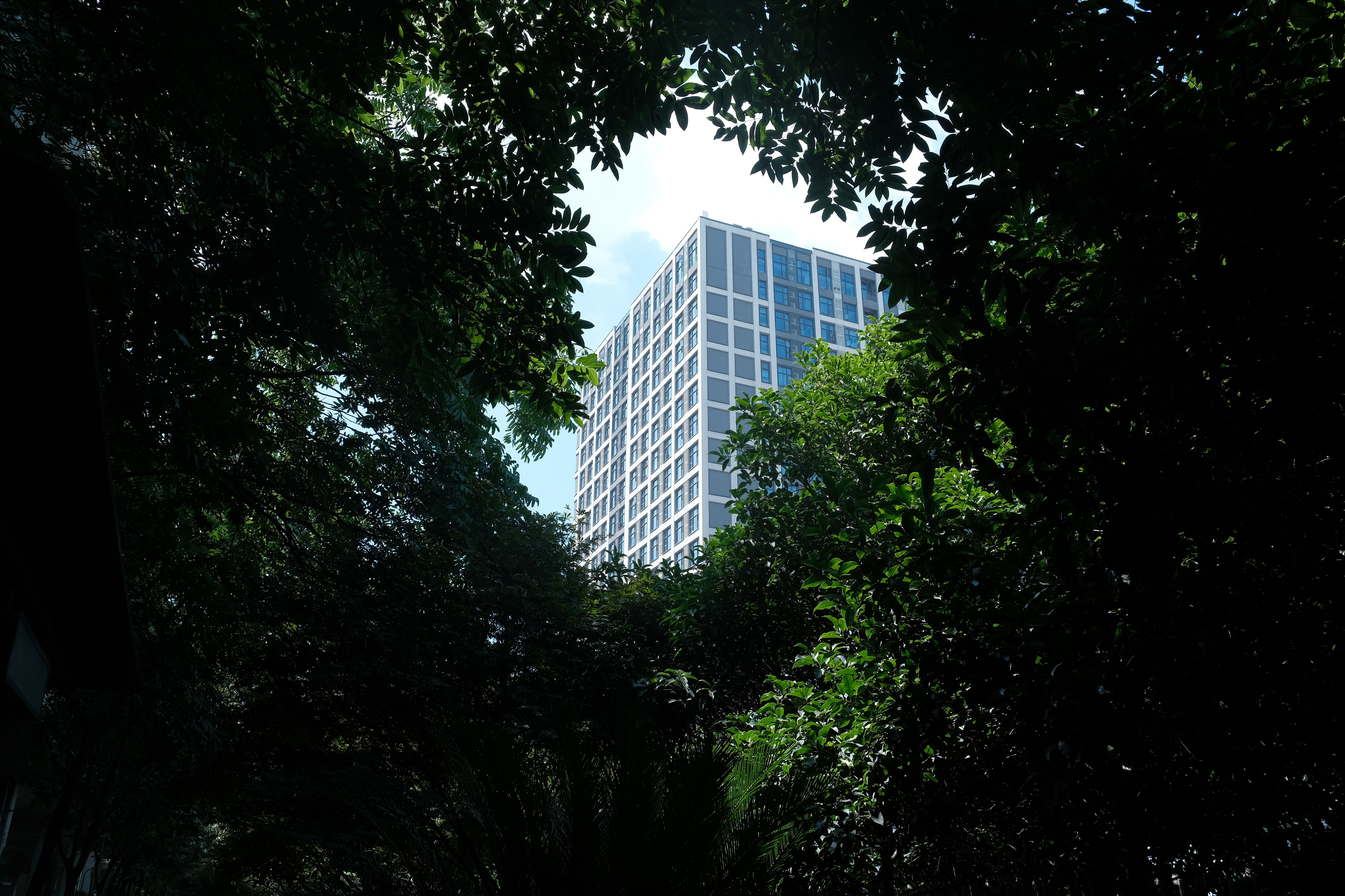 Building behind Leaves of Trees in Park · Free Stock Photo