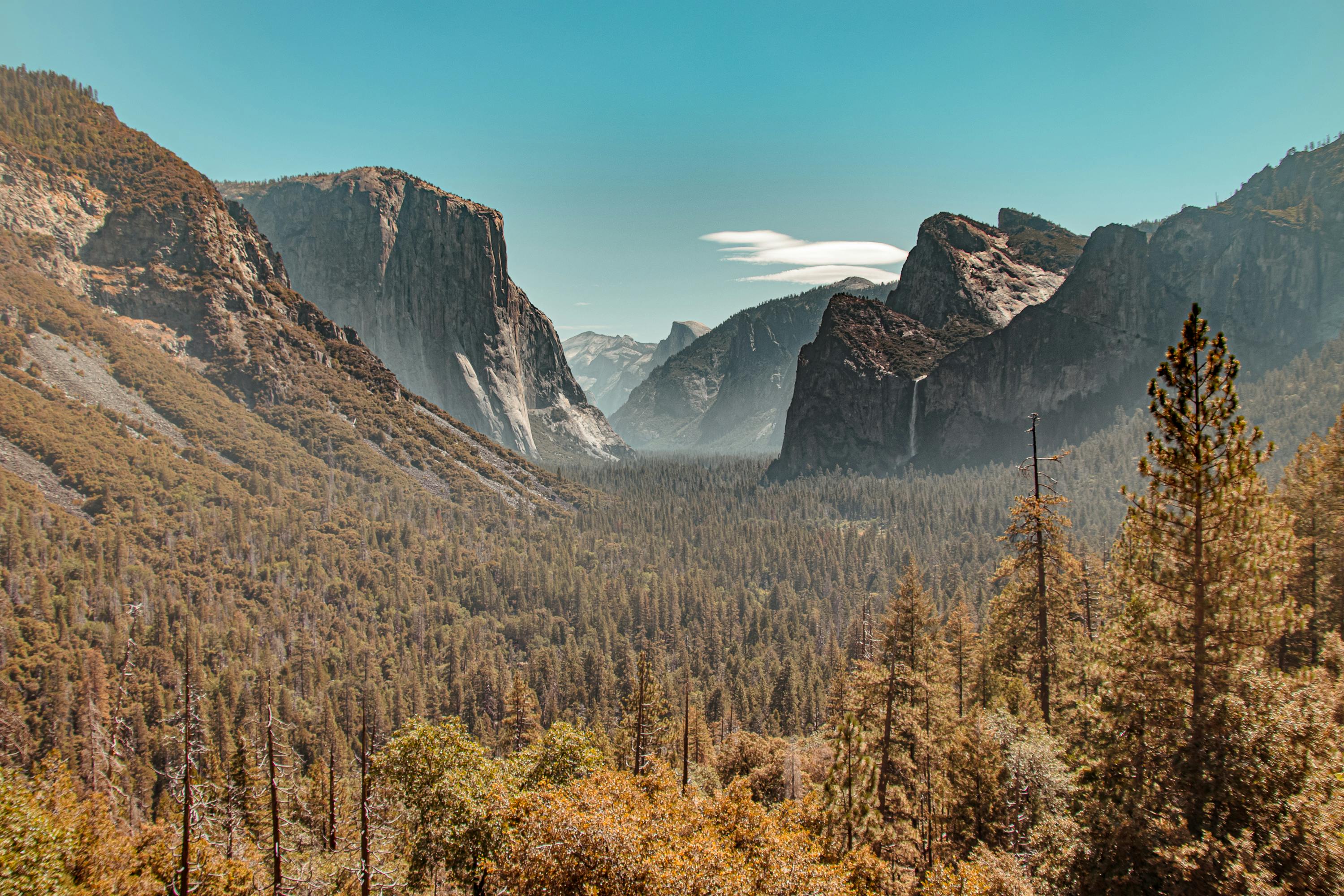 Scenic Landscape of a Valley in Yosemite National Park, California, USA ...