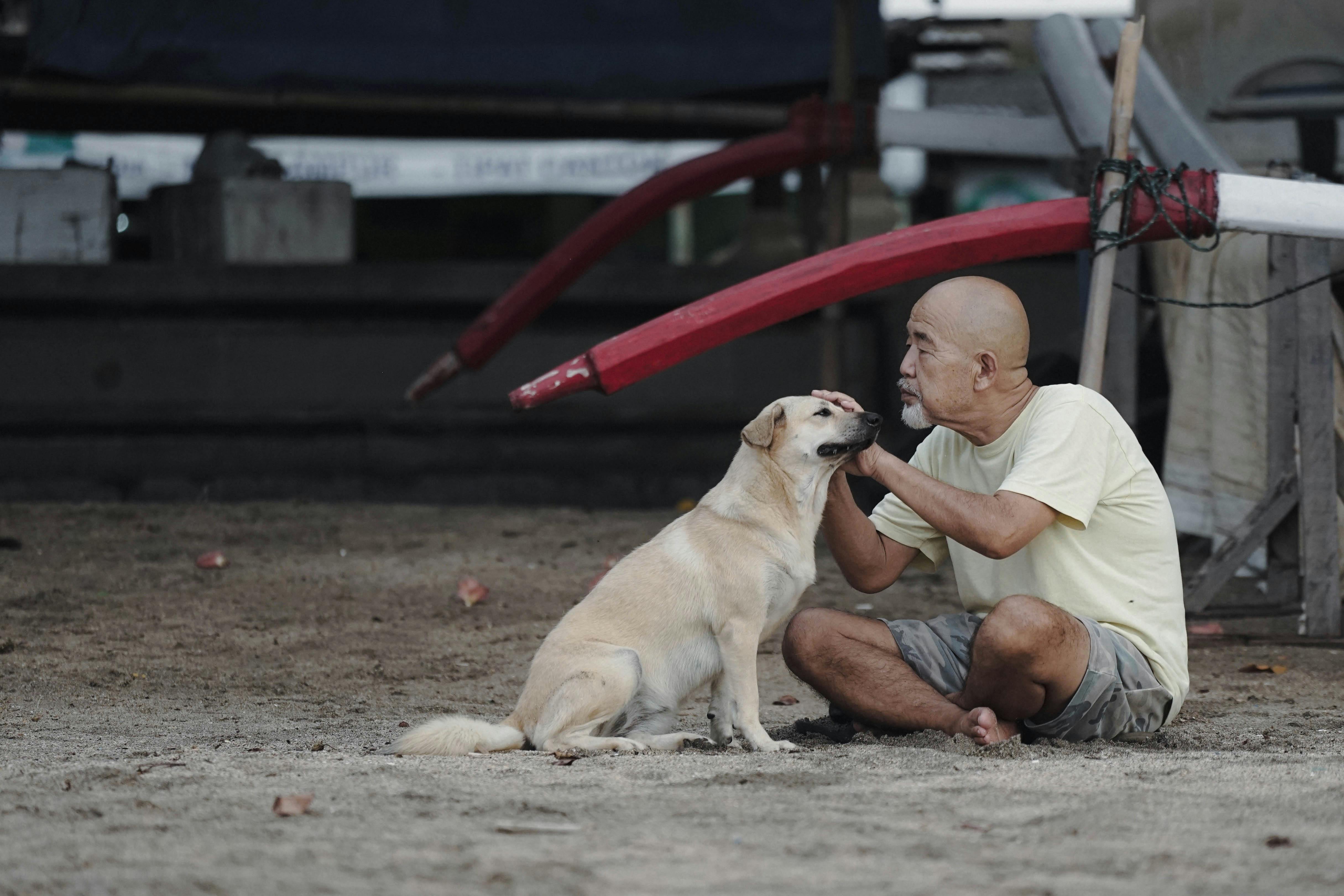 Man Sitting and Patting Dog · Free Stock Photo