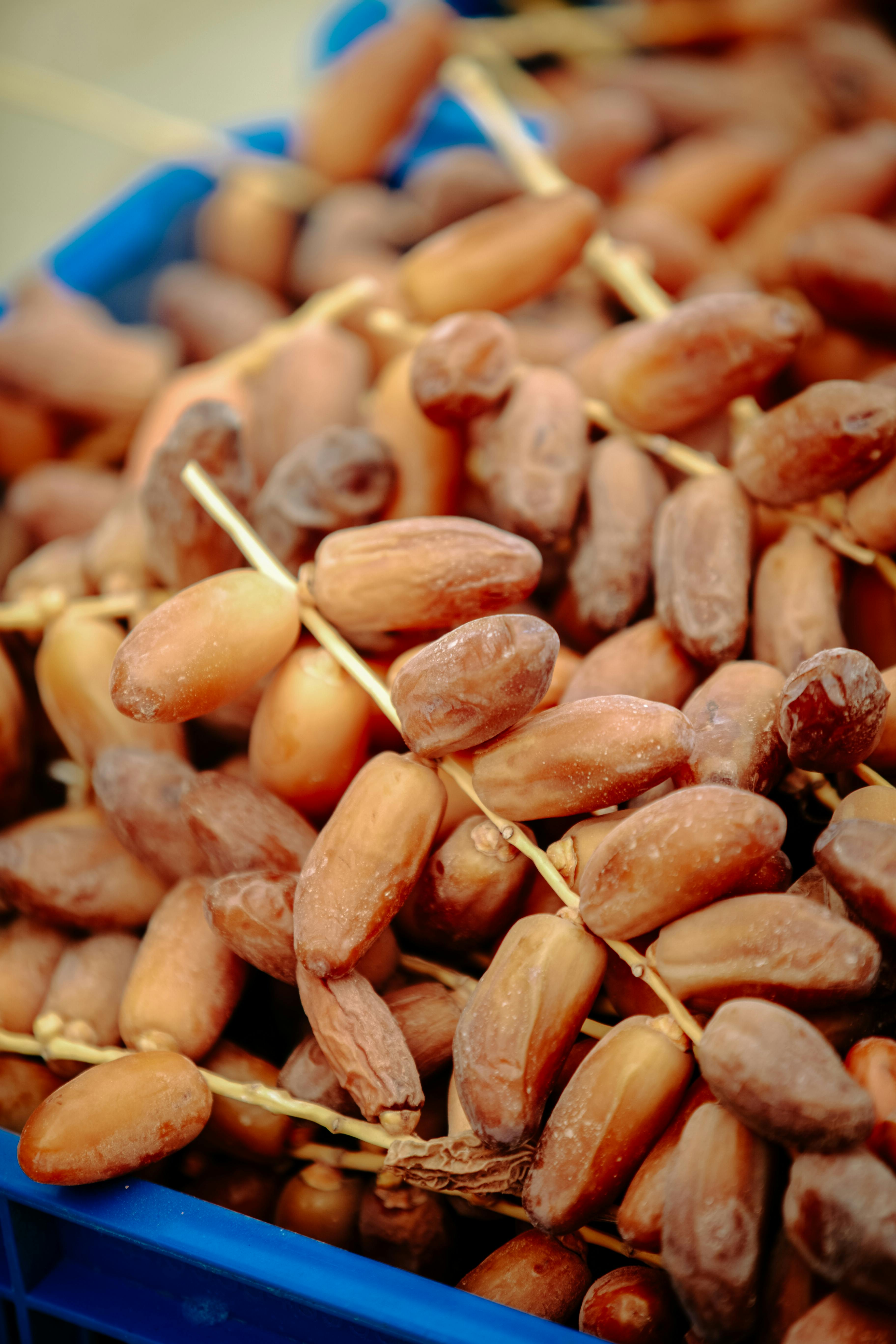 Close-up of a Pile of Dates · Free Stock Photo