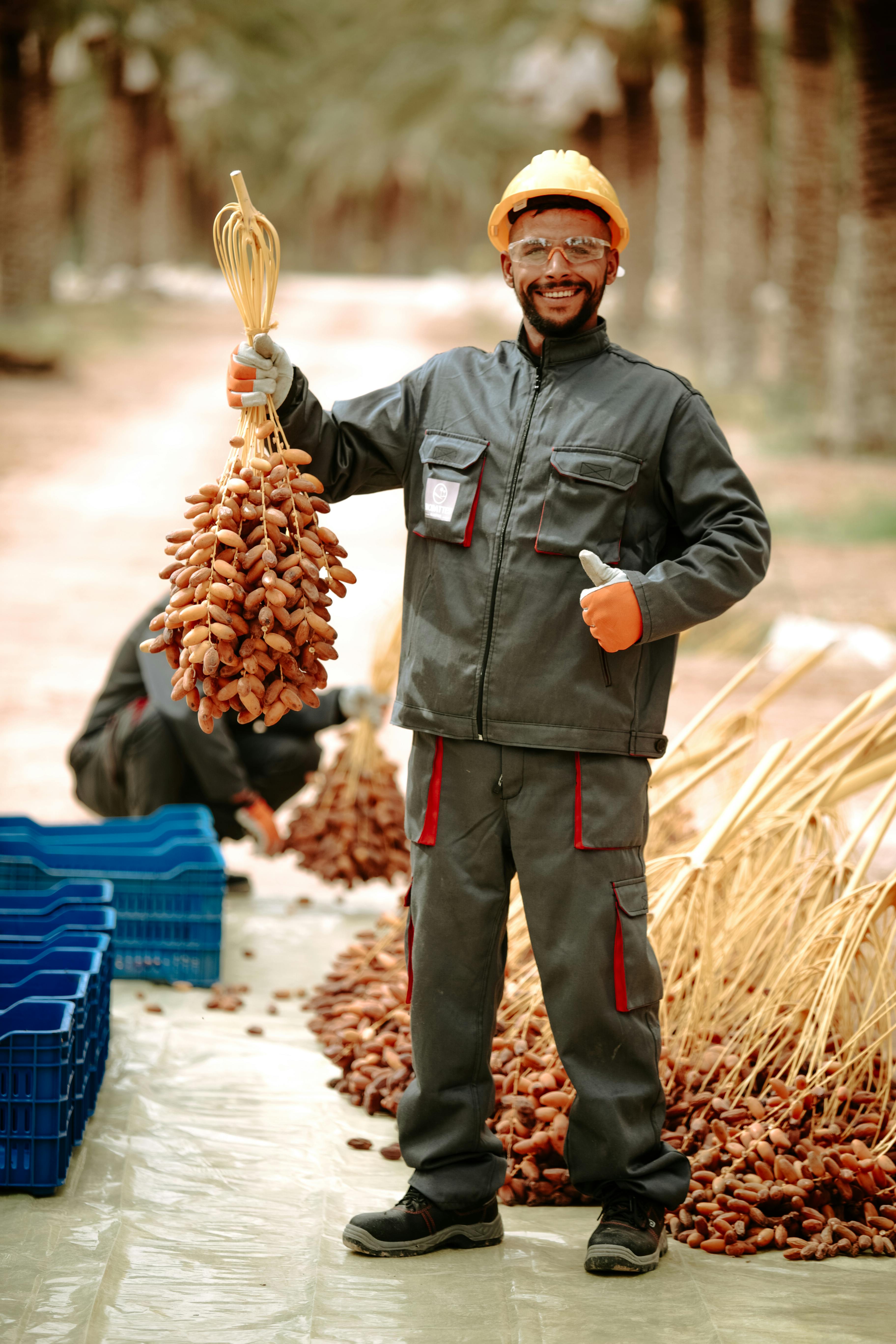 A Man Holding Freshly Harvested Dates · Free Stock Photo