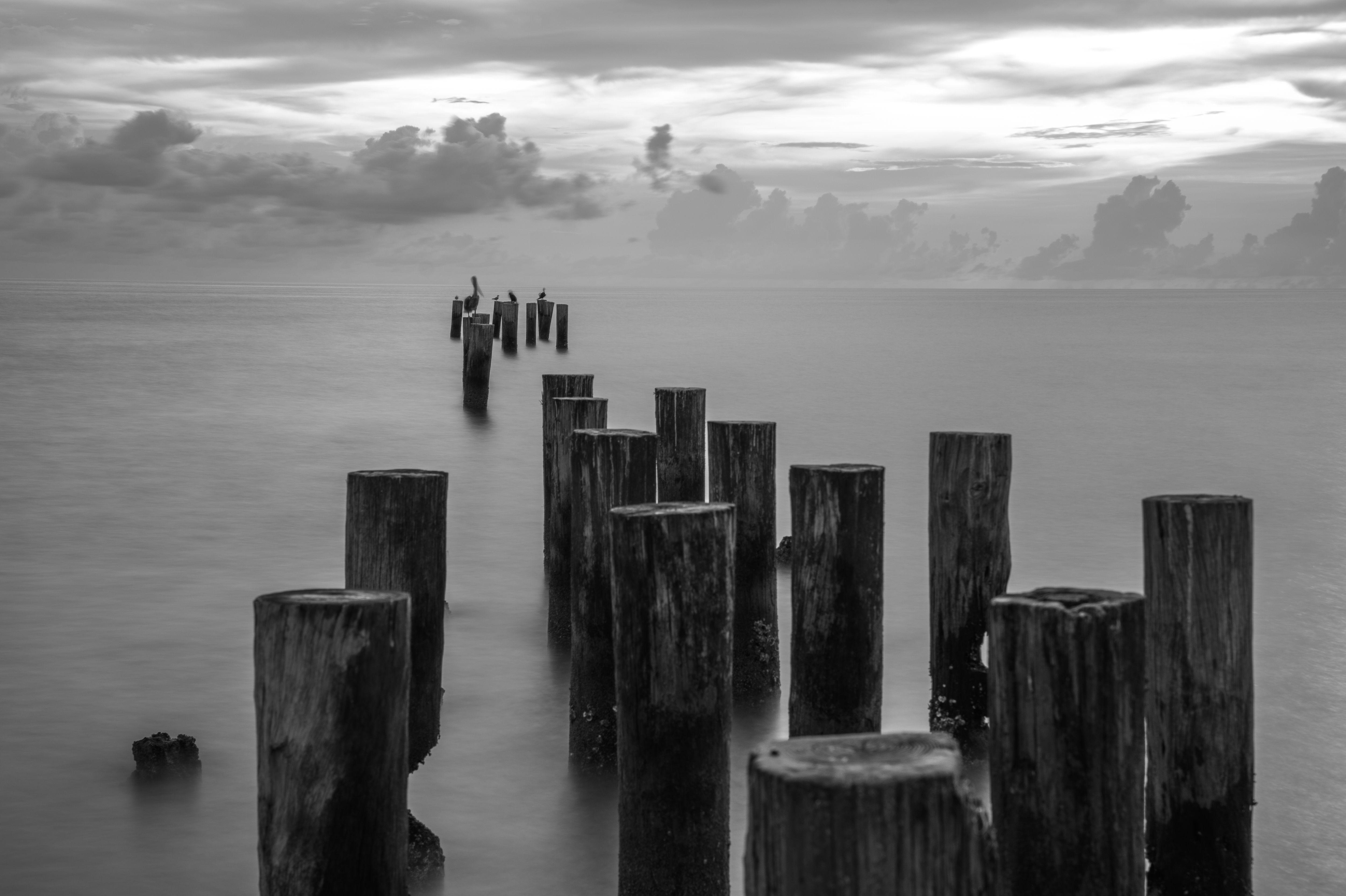 Foto de stock gratuita sobre blanco y negro, de madera, mar, oceano ...
