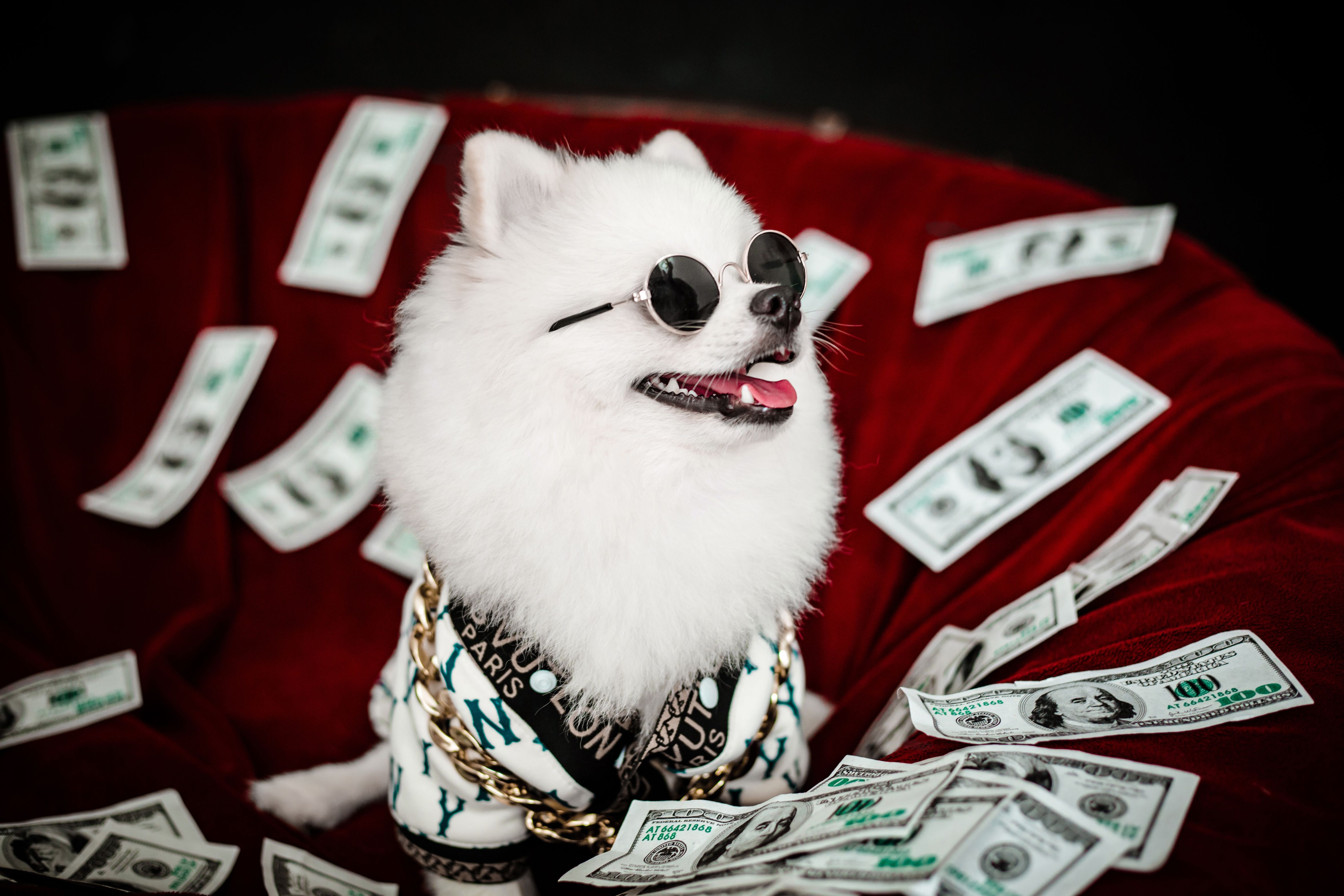 Foto de stock gratuita sobre billetes, dinero, doméstico, efectivo ...