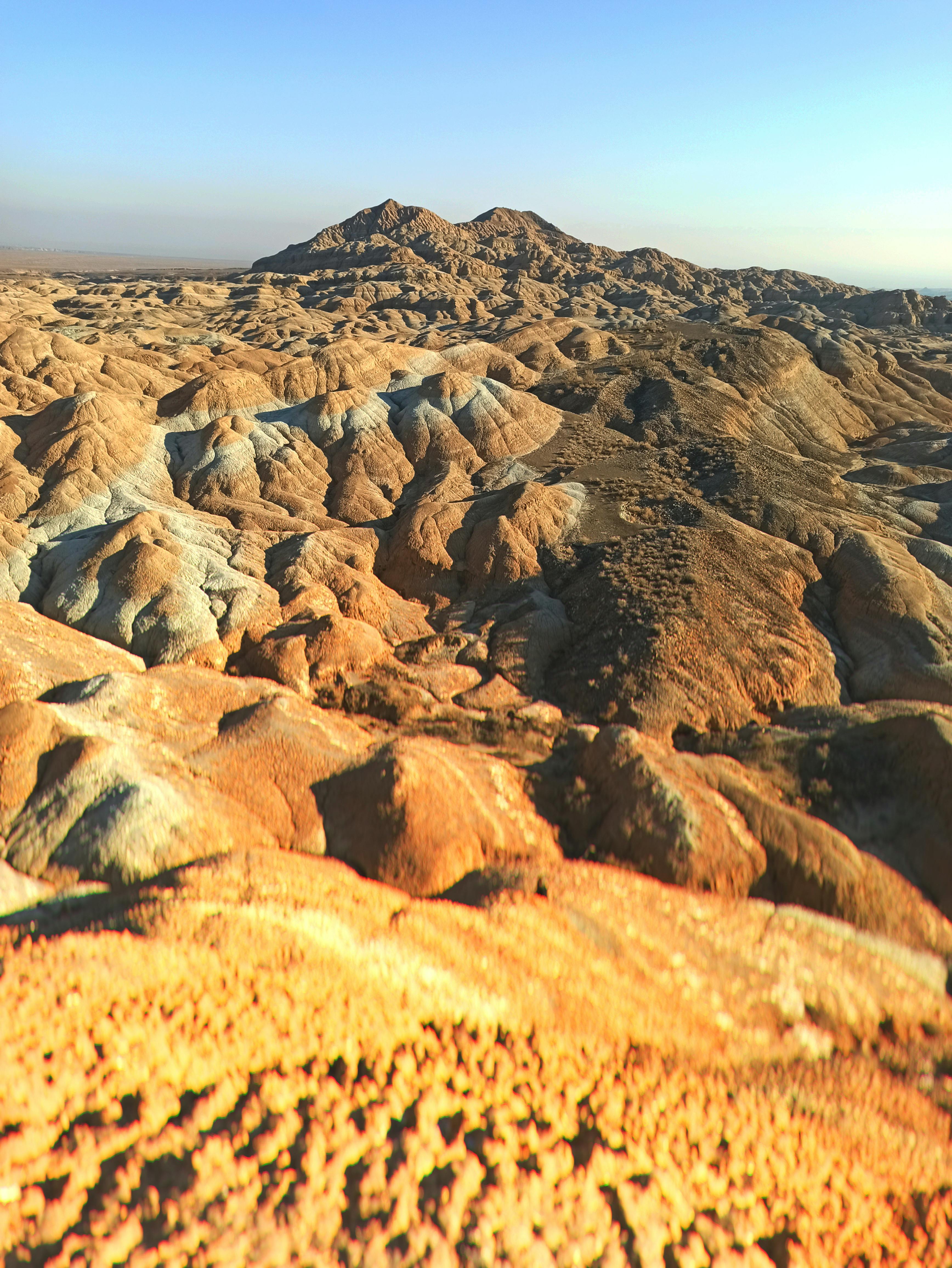 Grigoriy Bunkov - 사진