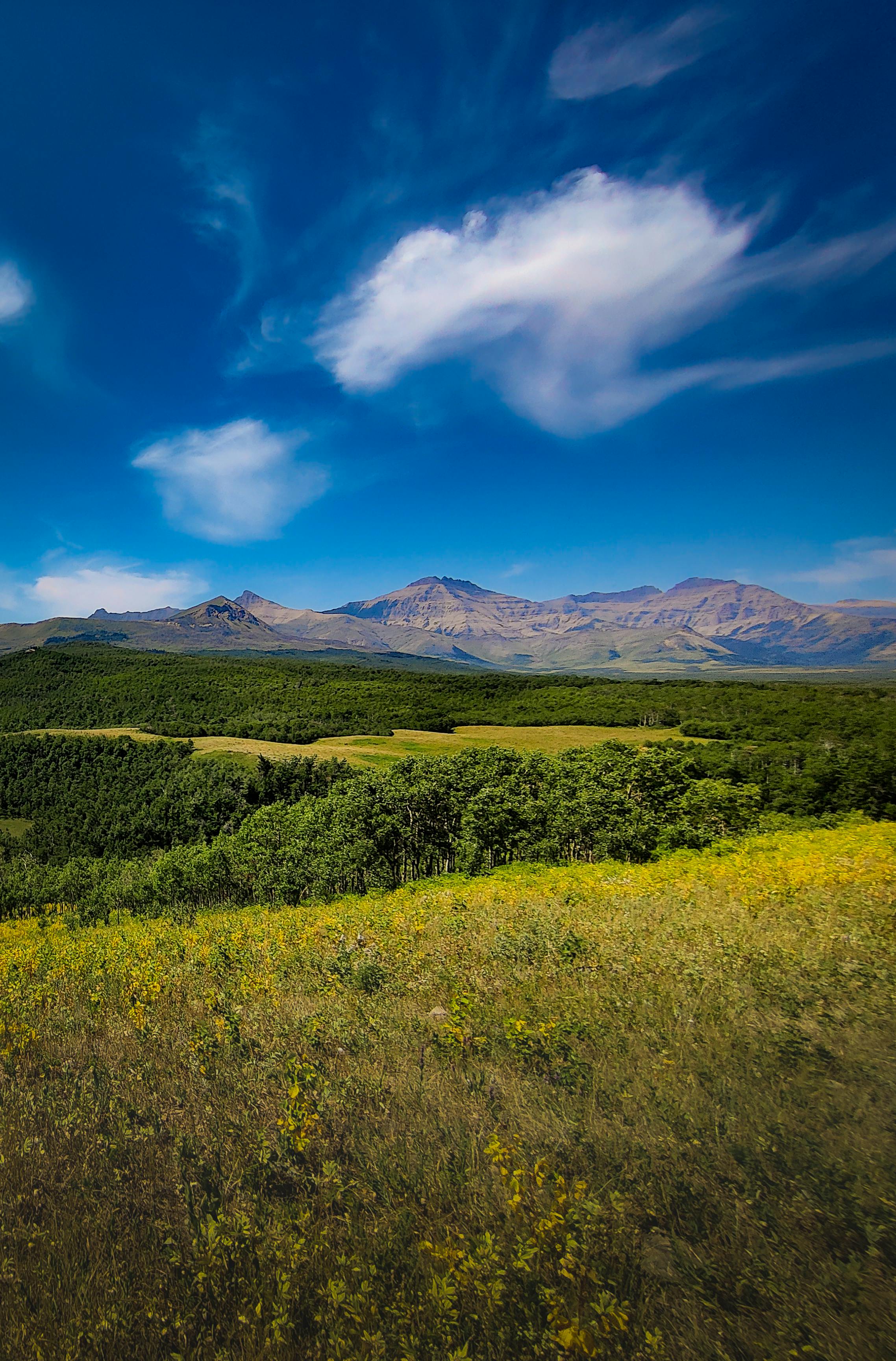 Dilusha Gonagala - Photography