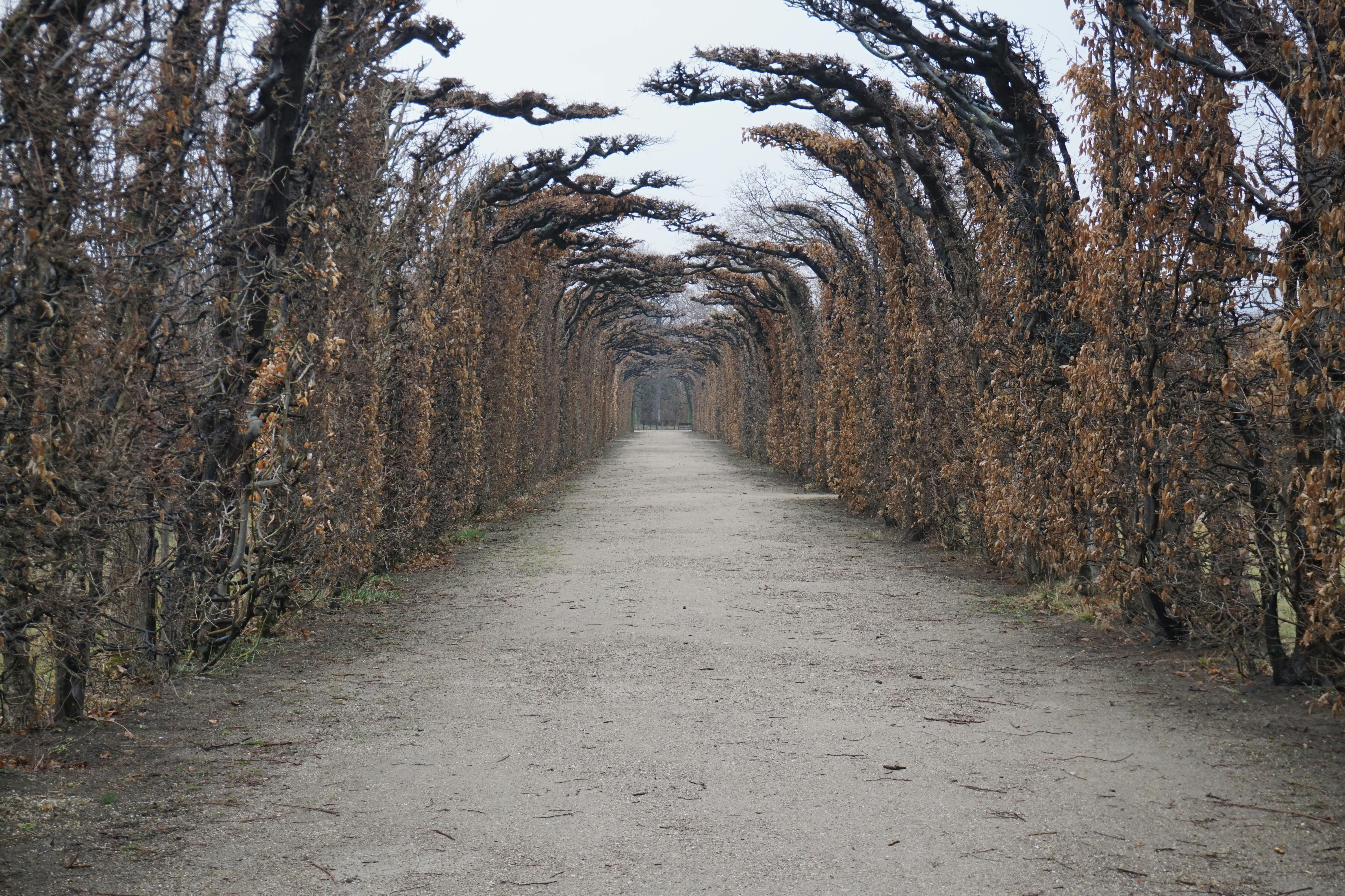 Merge Shape Photos, Download The BEST Free Merge Shape Stock Photos ...